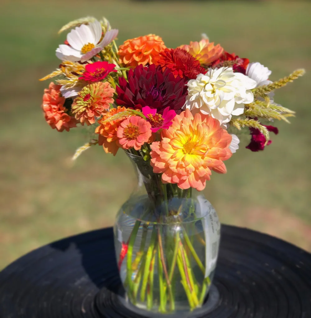Delaware flower farm