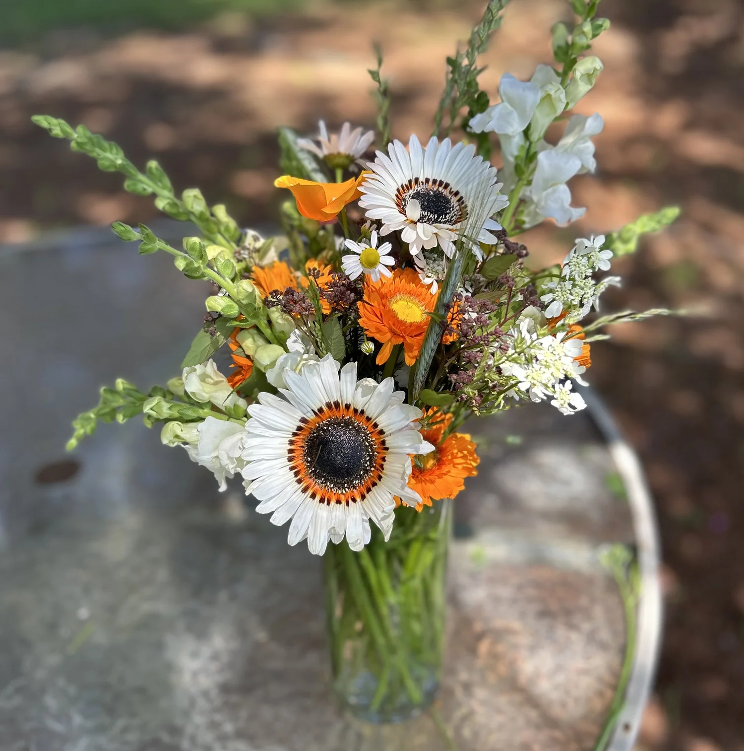 Delaware flowers — Derby Mill Farm Botanicals