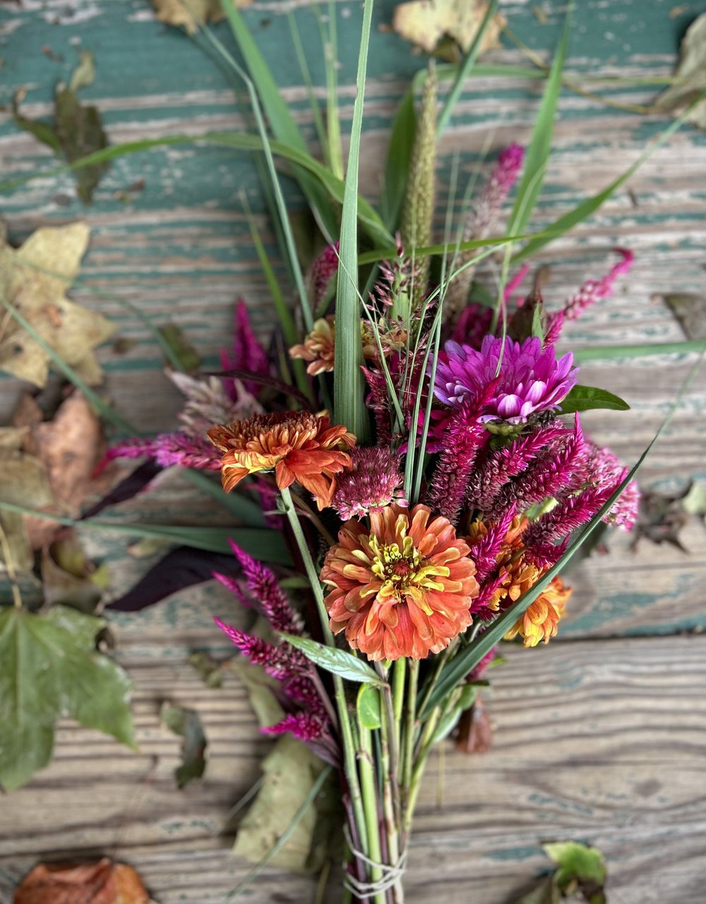 Delaware flower farm