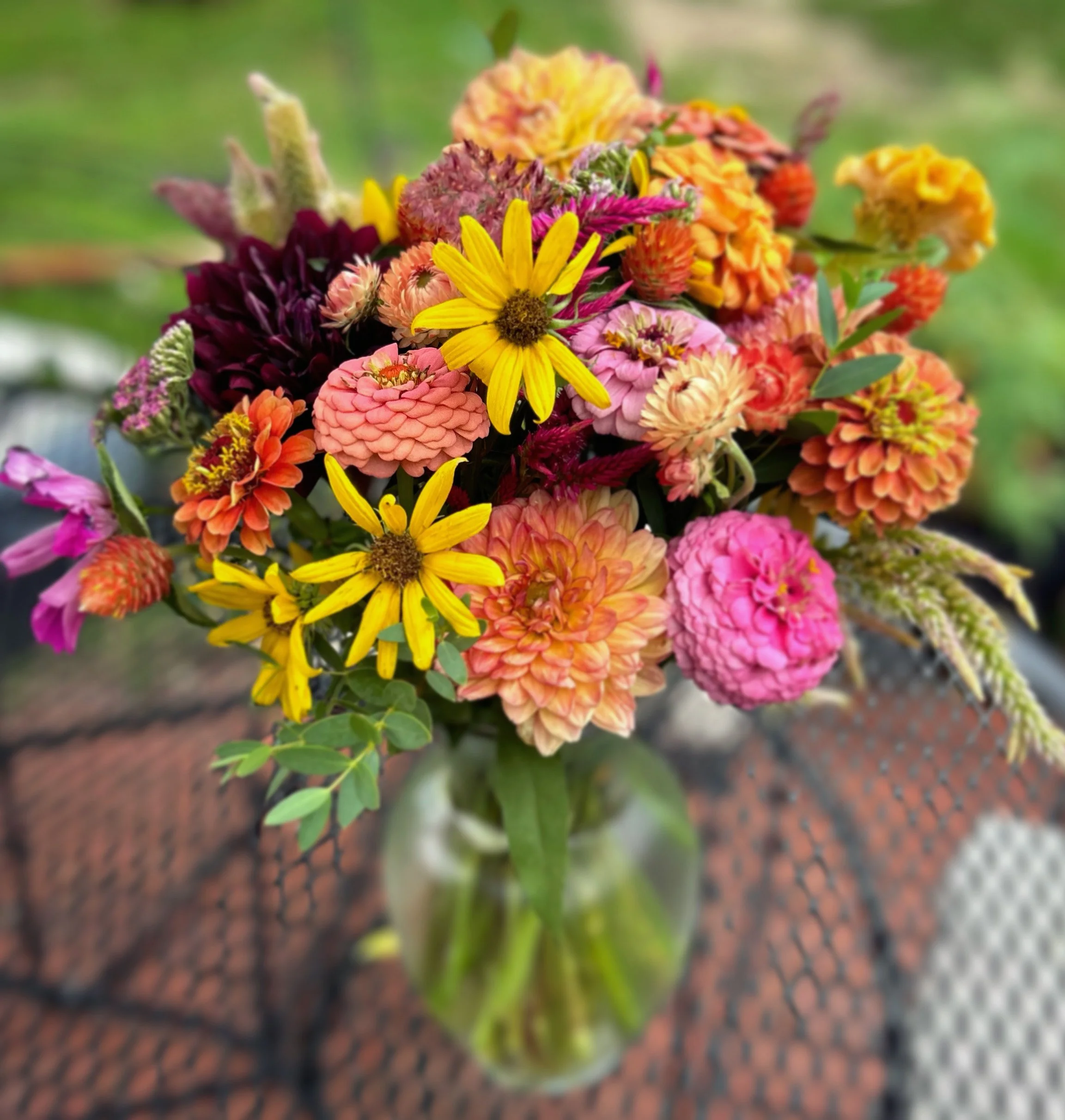 Delaware flower farm