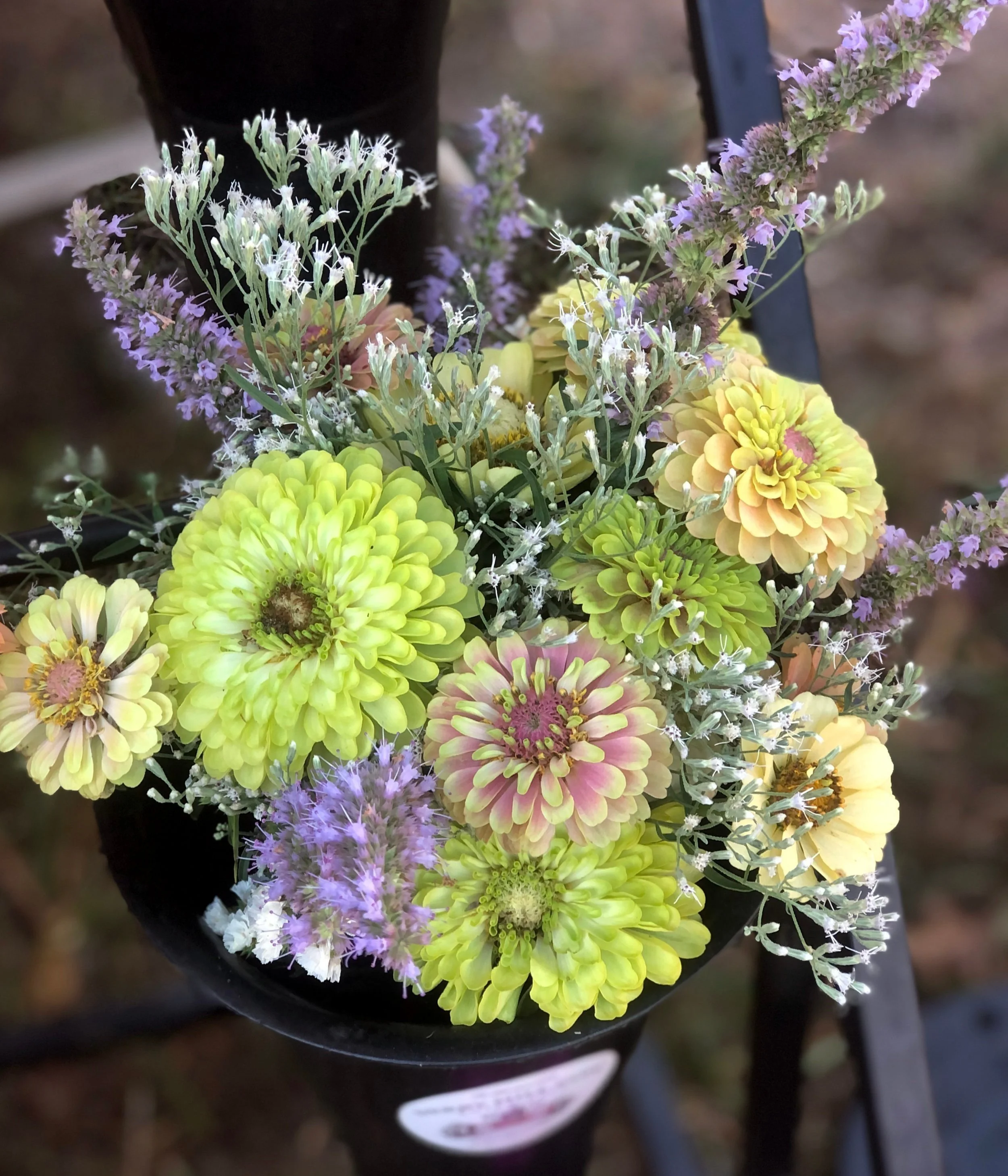 Delaware flower farm