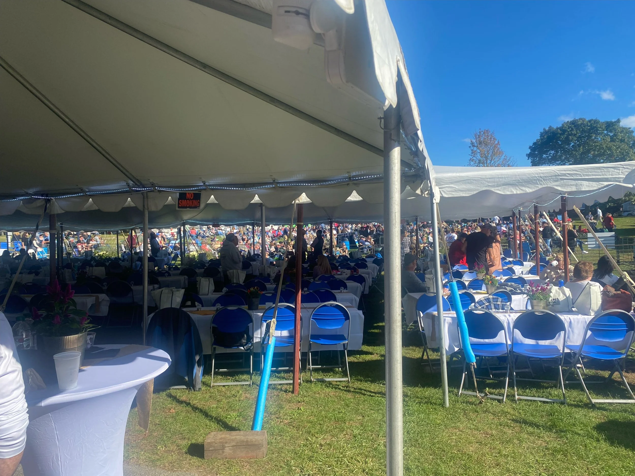 VIP — Bands for Badges