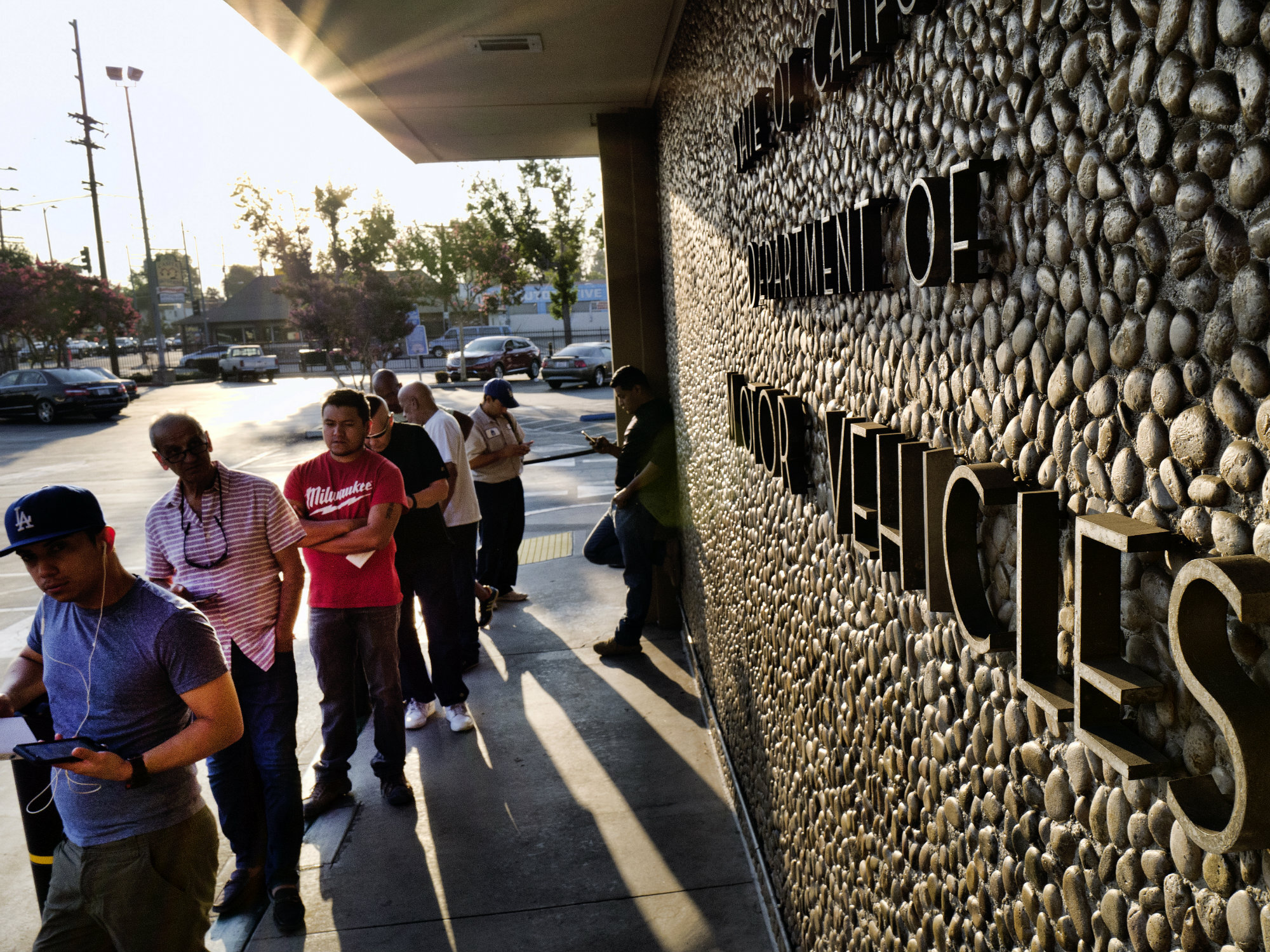 DMV Case Study — DANIELLE NEDIVI