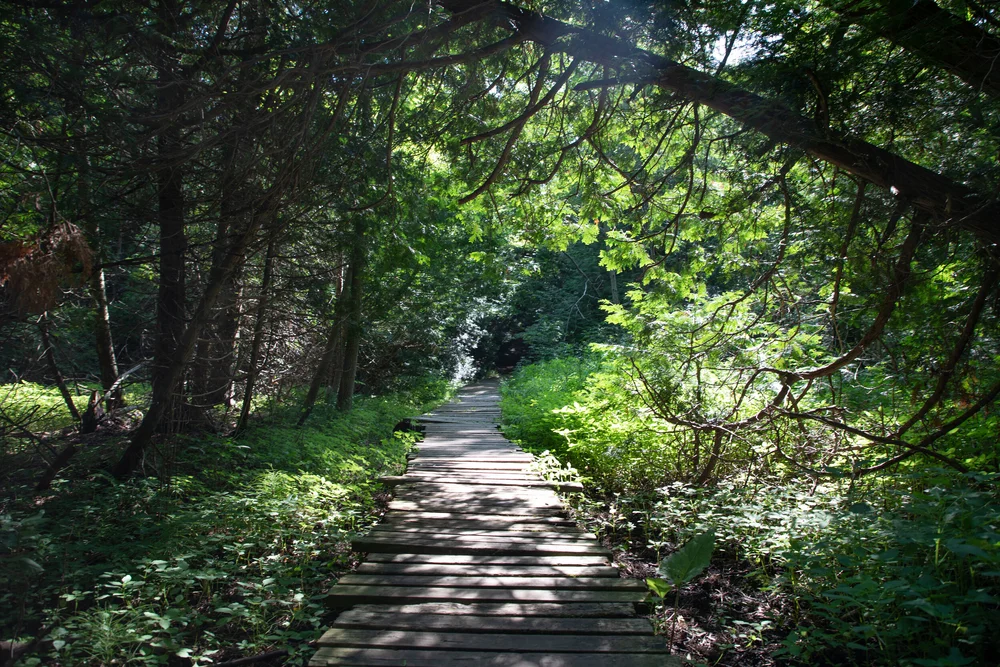 Overnight Camp — C.Y.O. Camp Brébeuf
