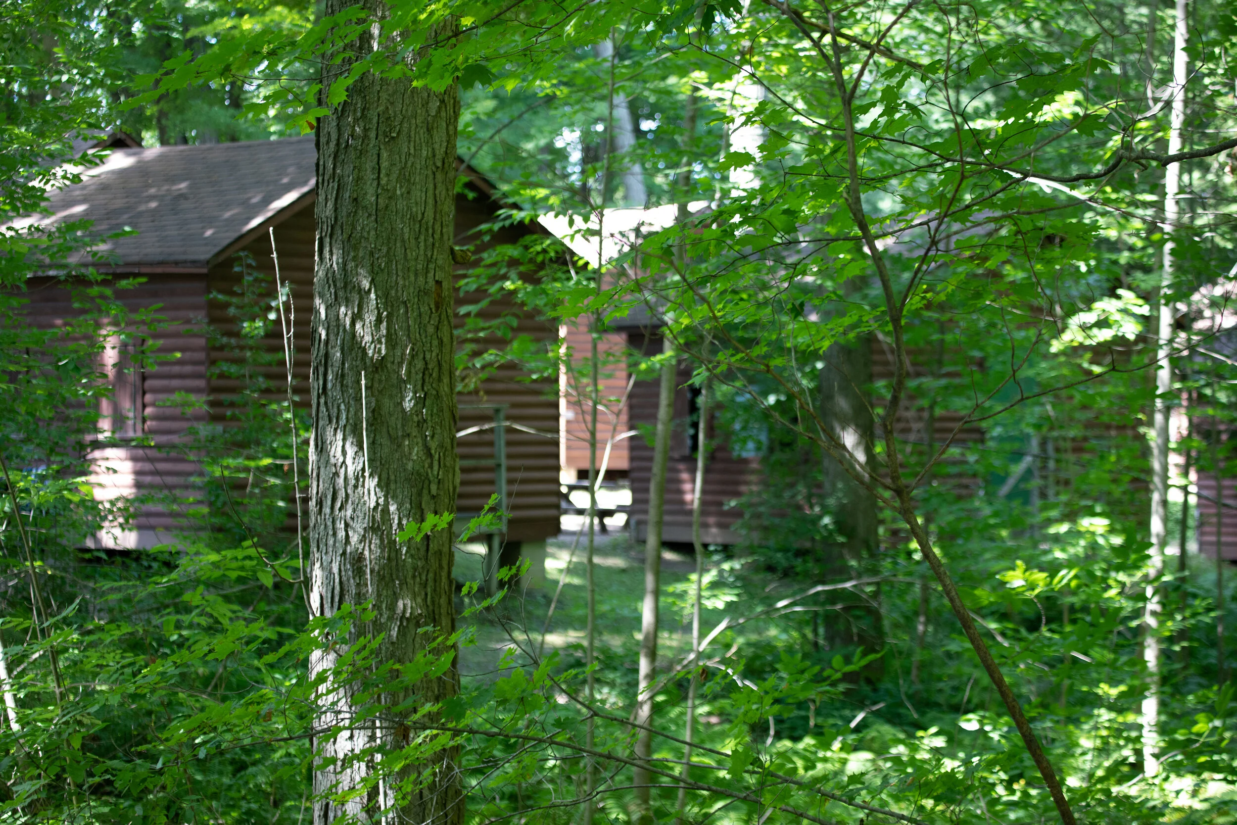 Group Weekend Booking — C.Y.O. Camp Brébeuf
