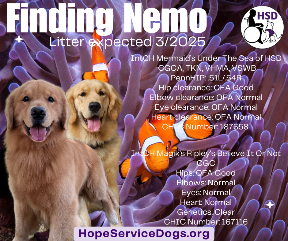Finding Nemo Litter 2025 — Hope Service Dogs, Inc