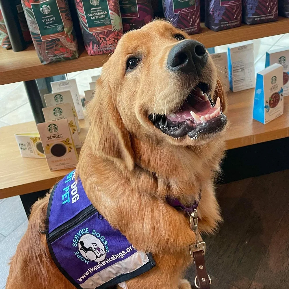 Reviews — Hope Service Dogs, Inc