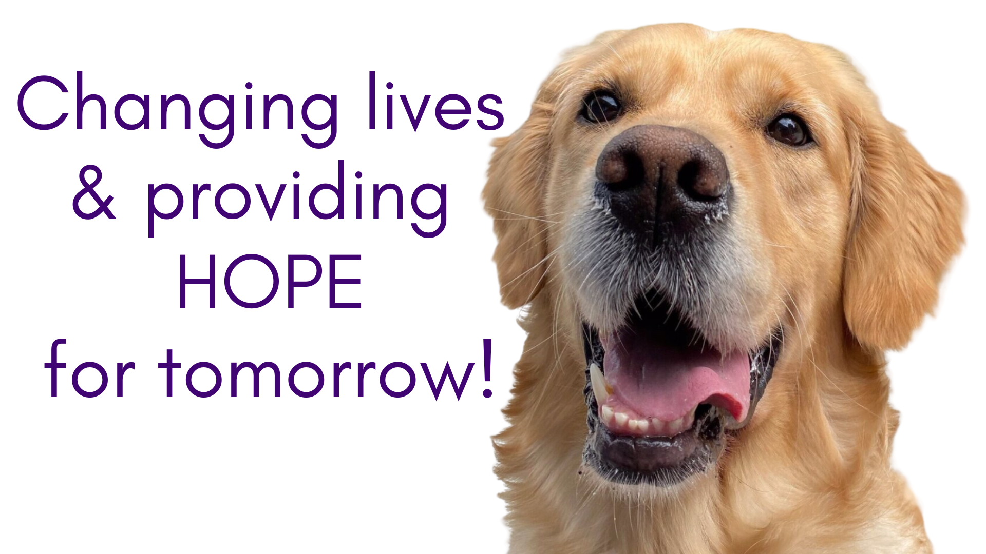 Misson — Hope Service Dogs, Inc