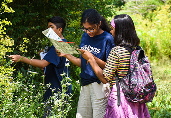 School Watch — EcoSpark