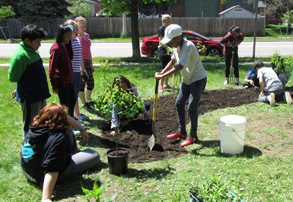 School Watch — EcoSpark