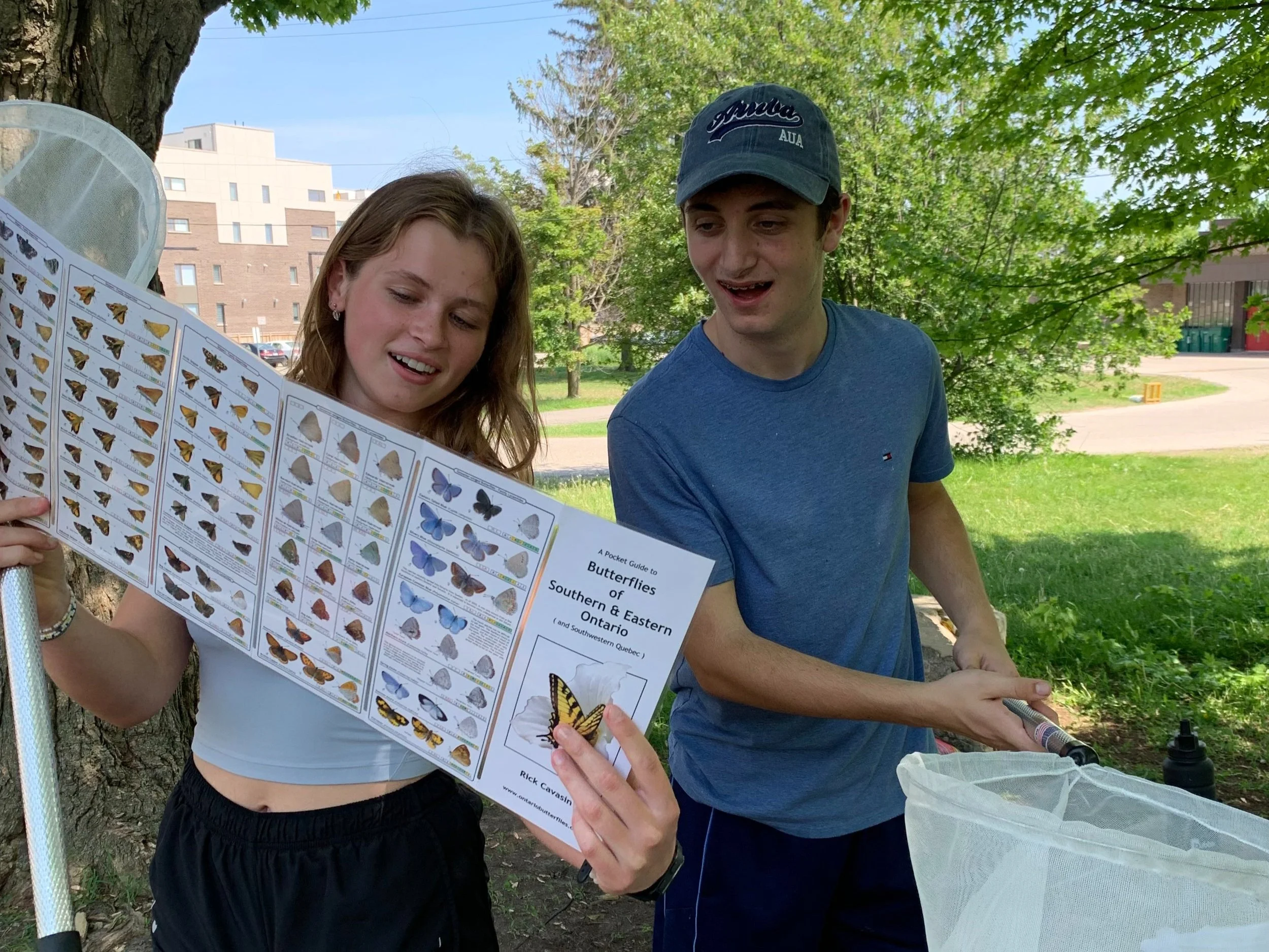 Caterpillars Count — EcoSpark