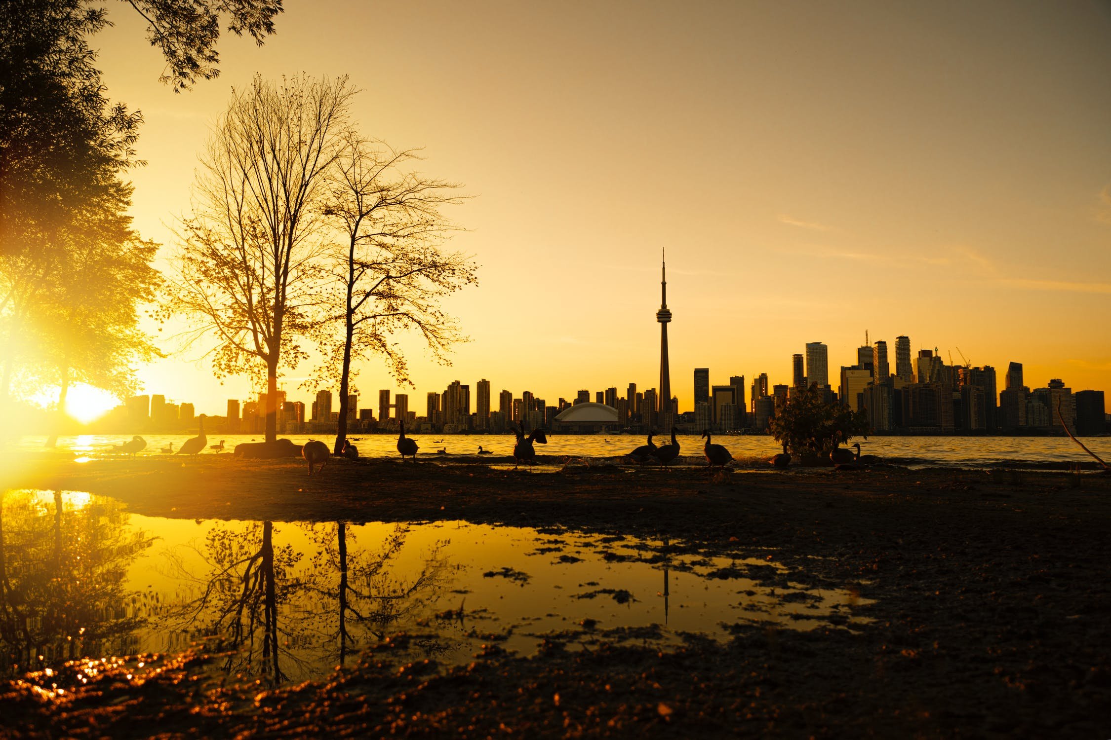 City Nature Challenge 2024 Toronto and GTA — EcoSpark
