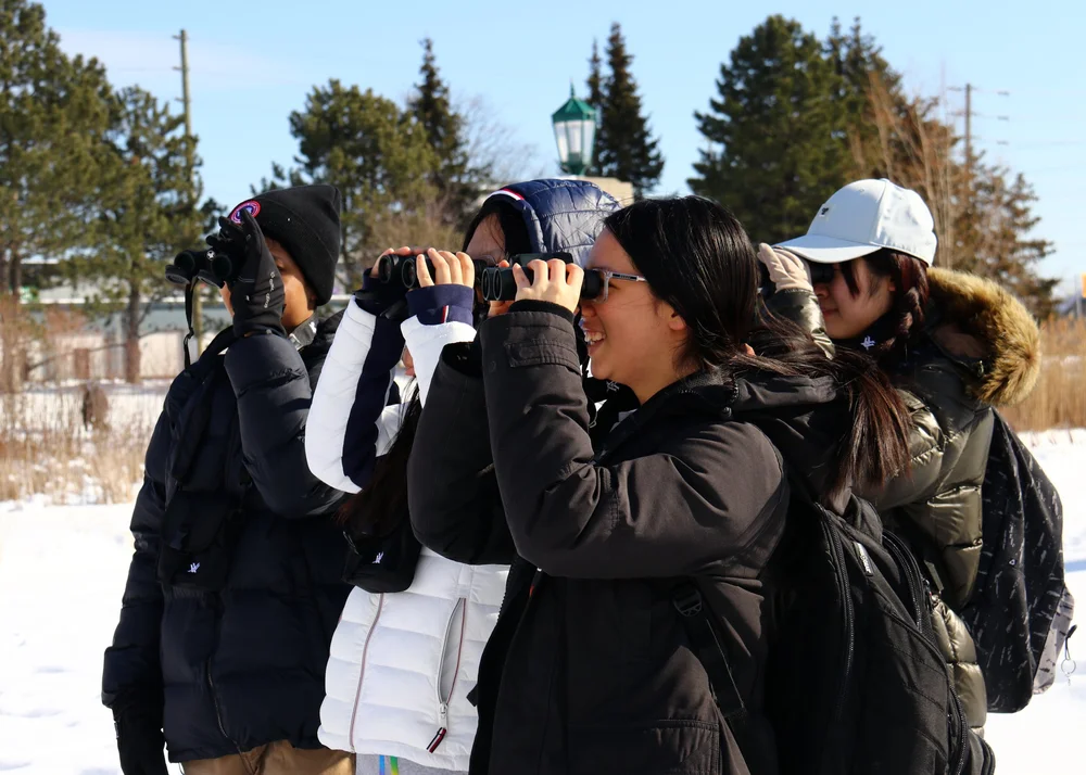 School Watch — EcoSpark