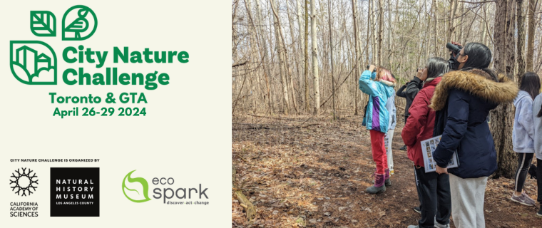 Discovering Nature in the City: EcoSpark Staff Past City Nature Challenge Highlights — EcoSpark