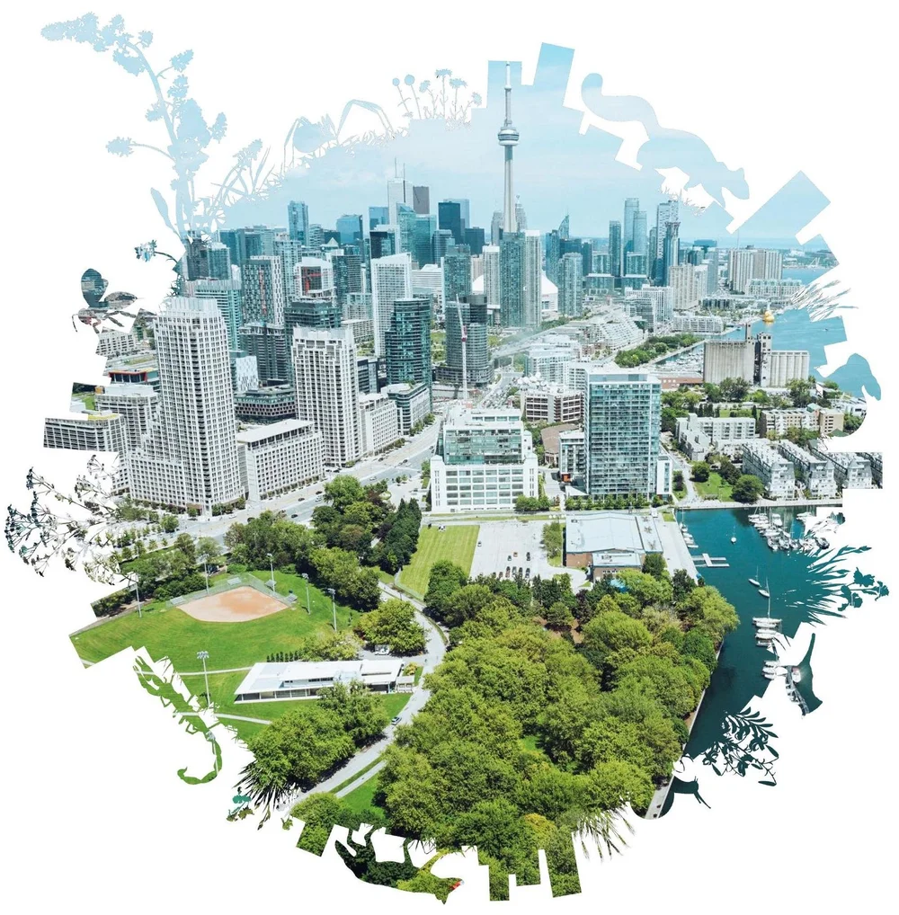 City Nature Challenge 2025 Toronto and GTA — EcoSpark