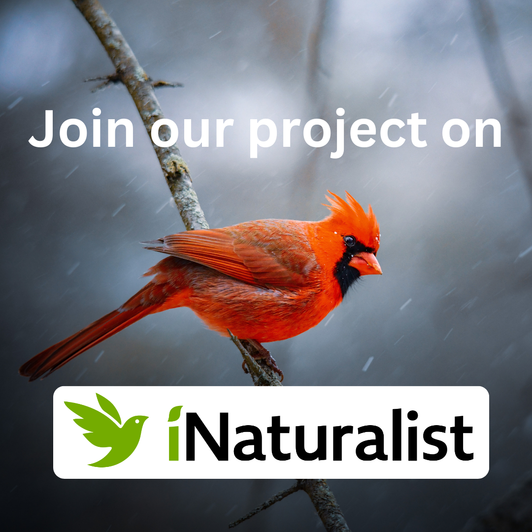 Volunteer — EcoSpark