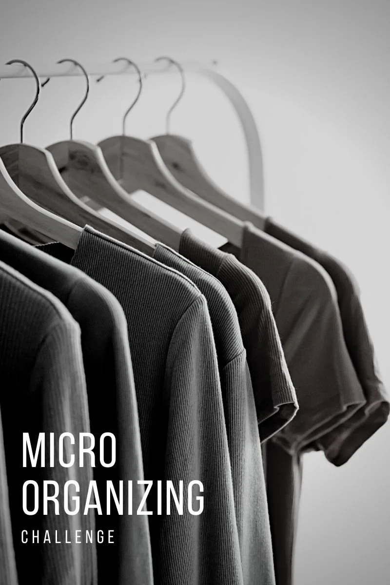 Micro Organizing Challenge: Your Ultimate Guide to Tackling Life's ...
