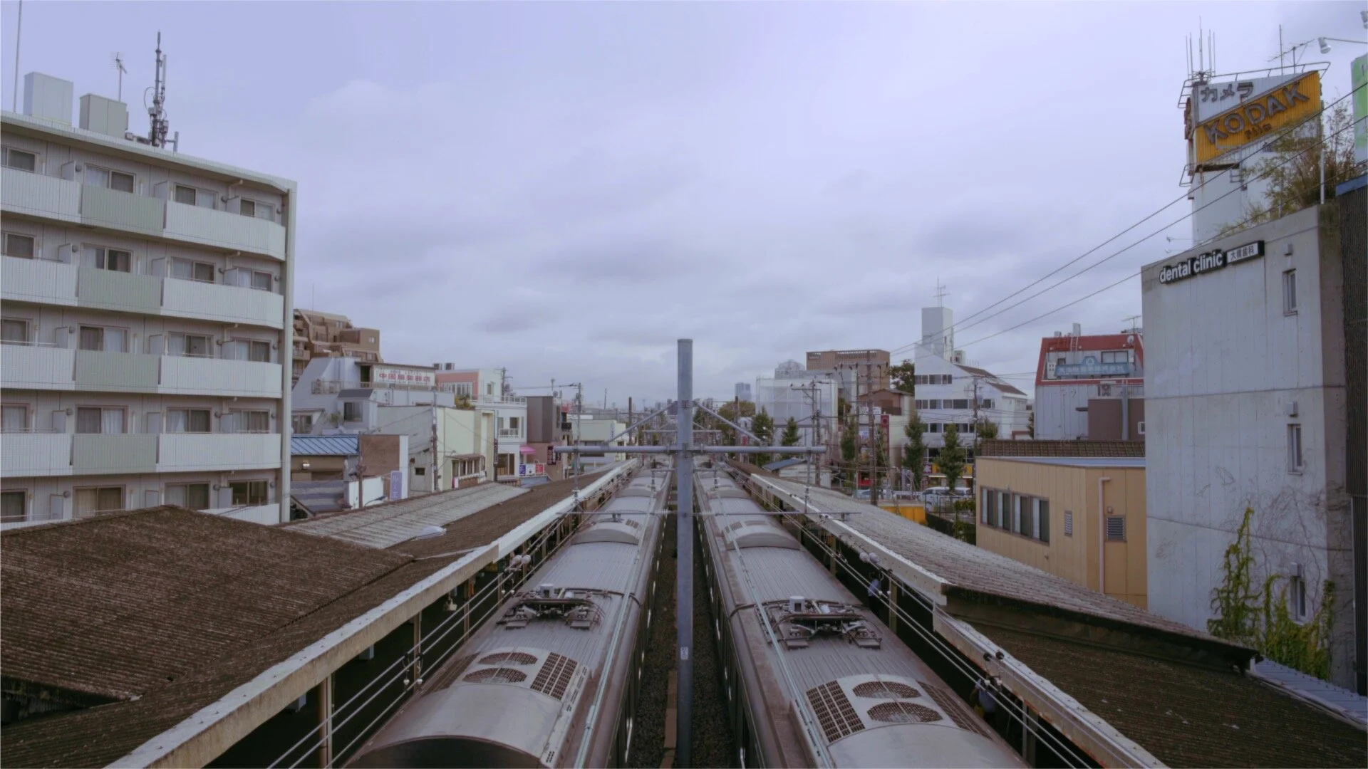 Japanese Islanders is a short documentary that explores a sub-culture ...