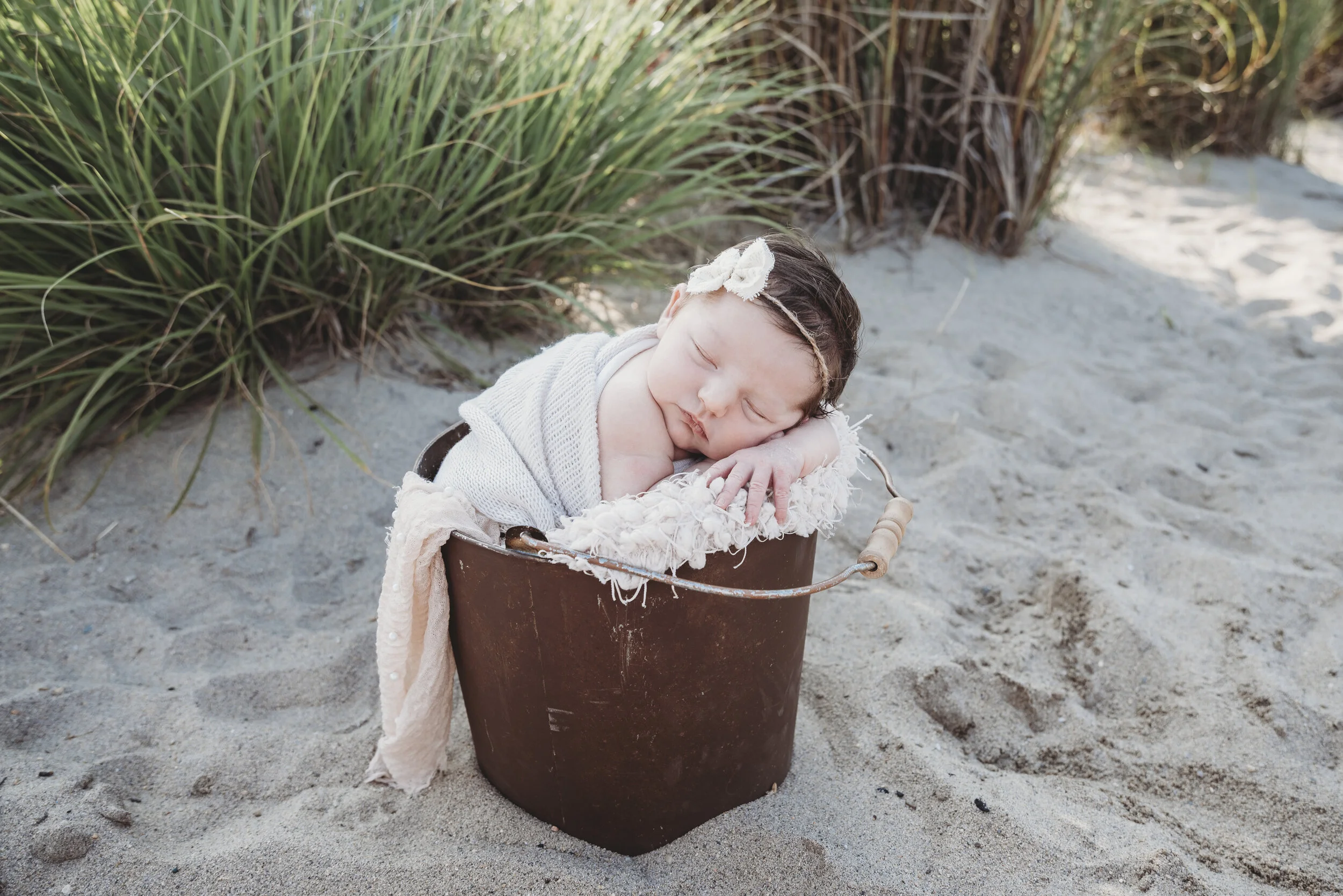 stephanie conti photography