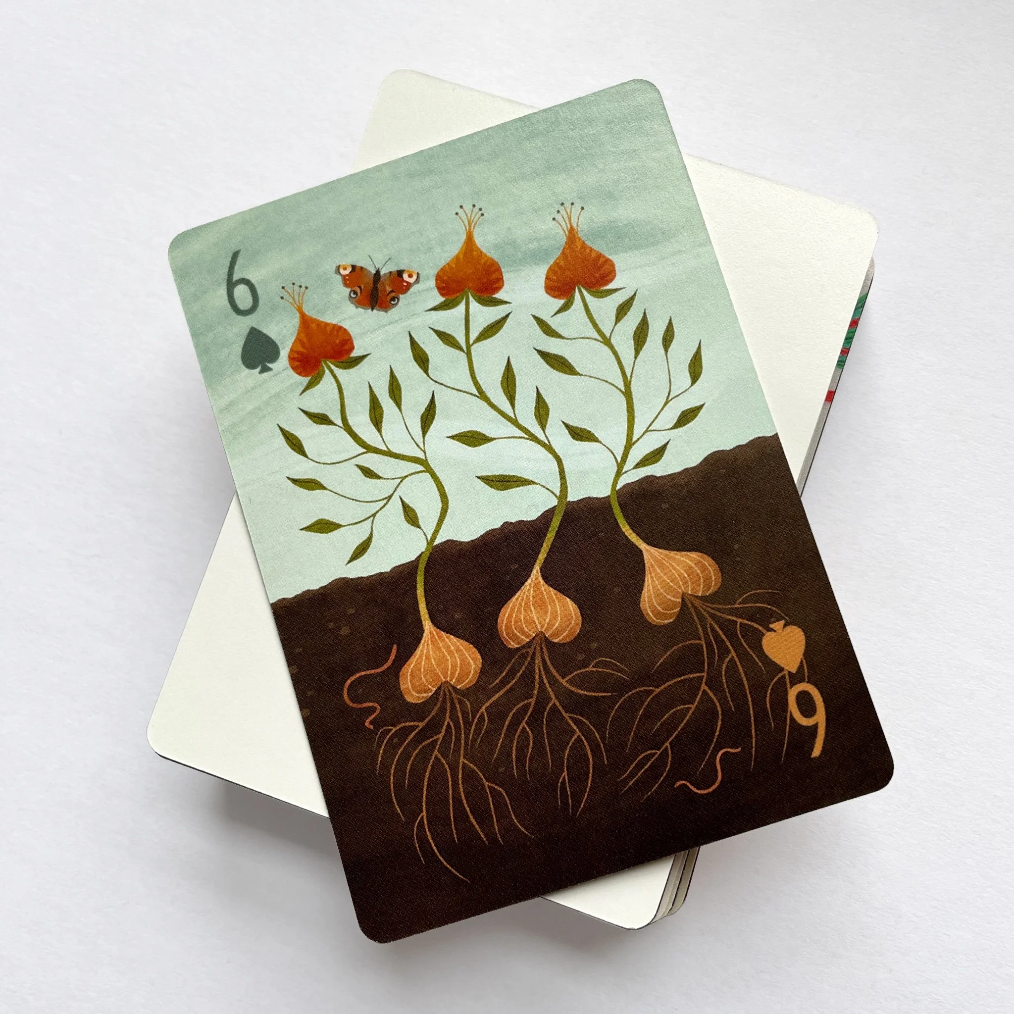 TLC Deck of Cards — Holly Astle