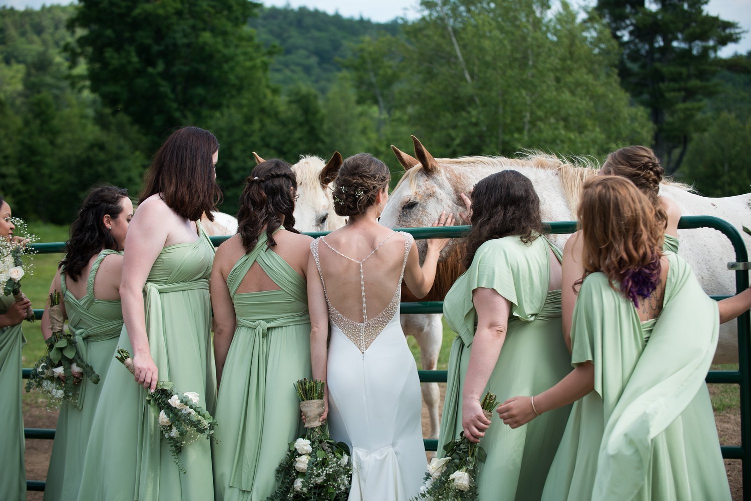 Visit Cold Spring Farm — Cold Spring Farm