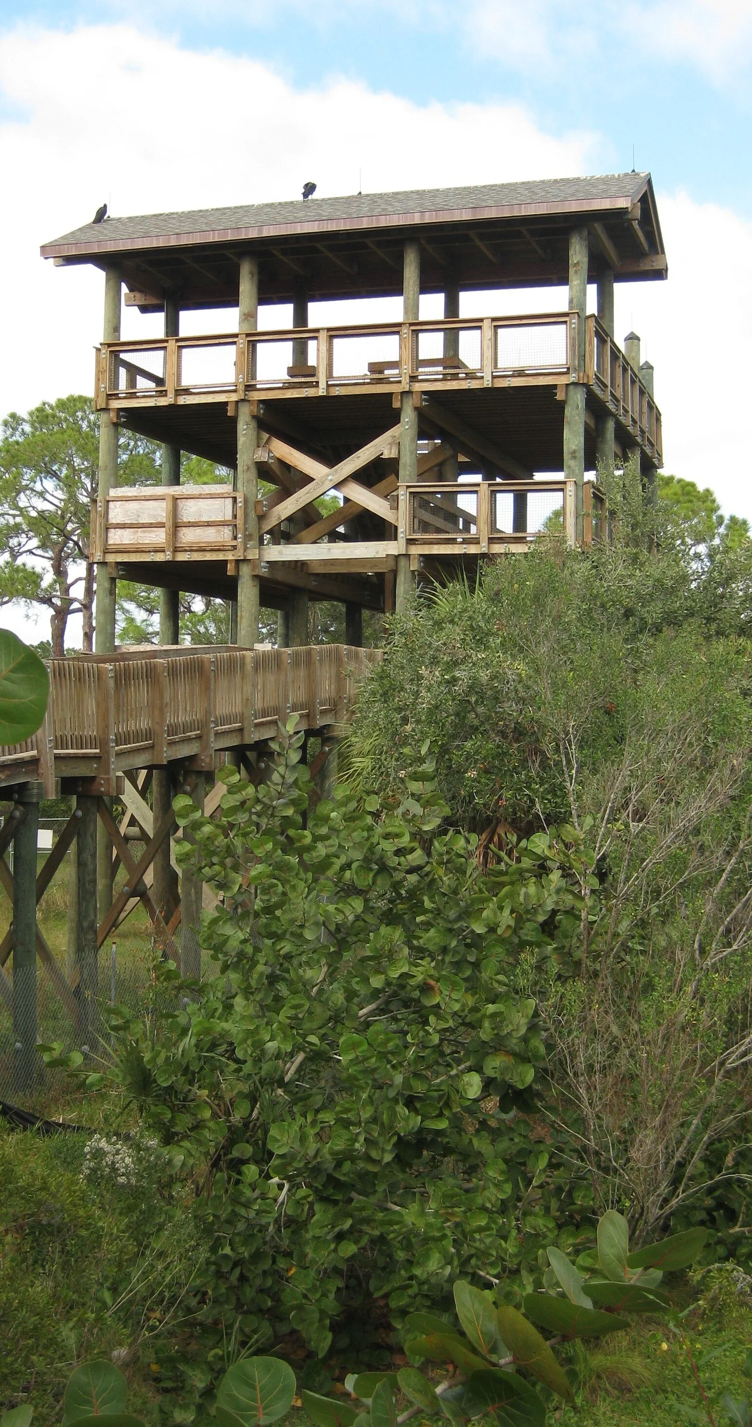 Wall Springs Park Observation Tower Replacement — Nelson Construction