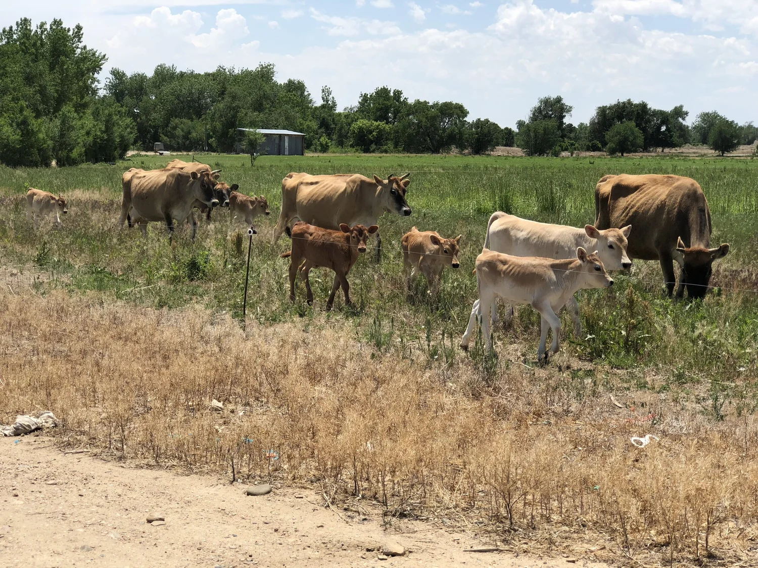 Products — Larga Vista Ranch & Dairy