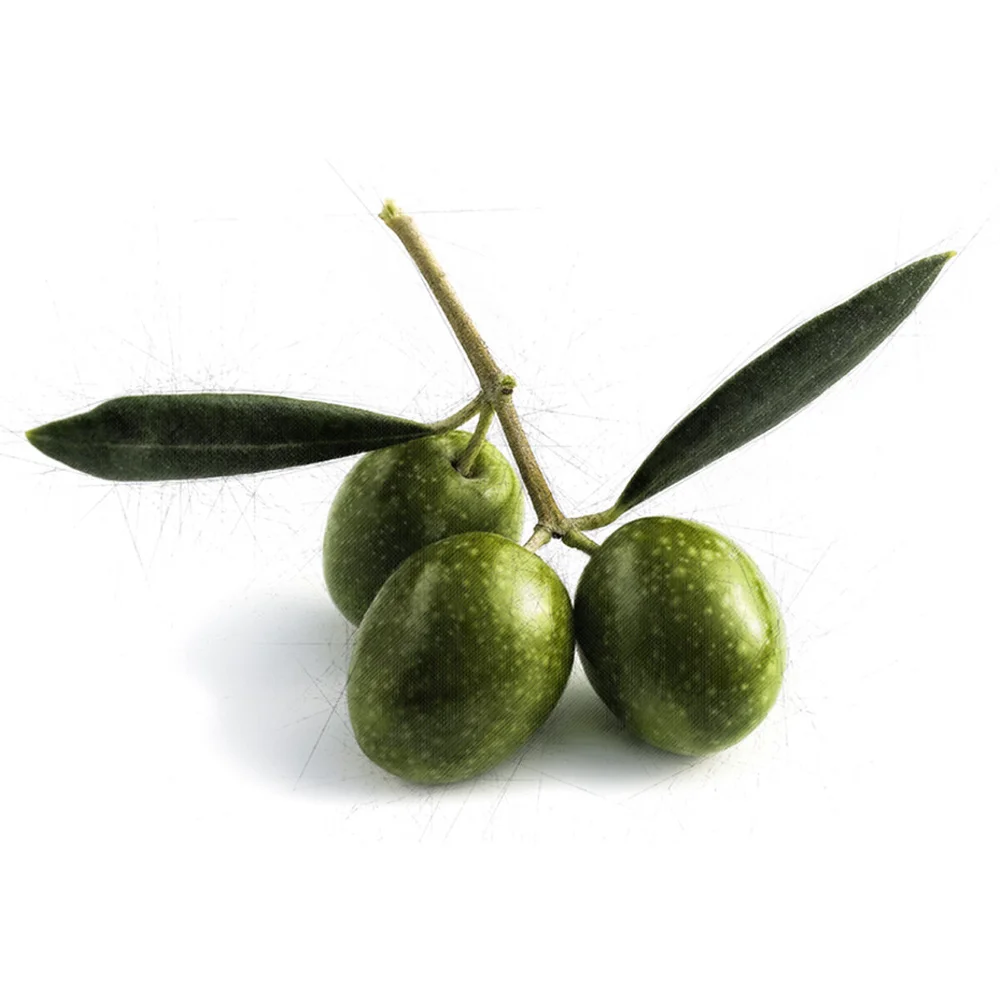 UP Extra Virgin Olive Oil — Victoria Olive Oil Co