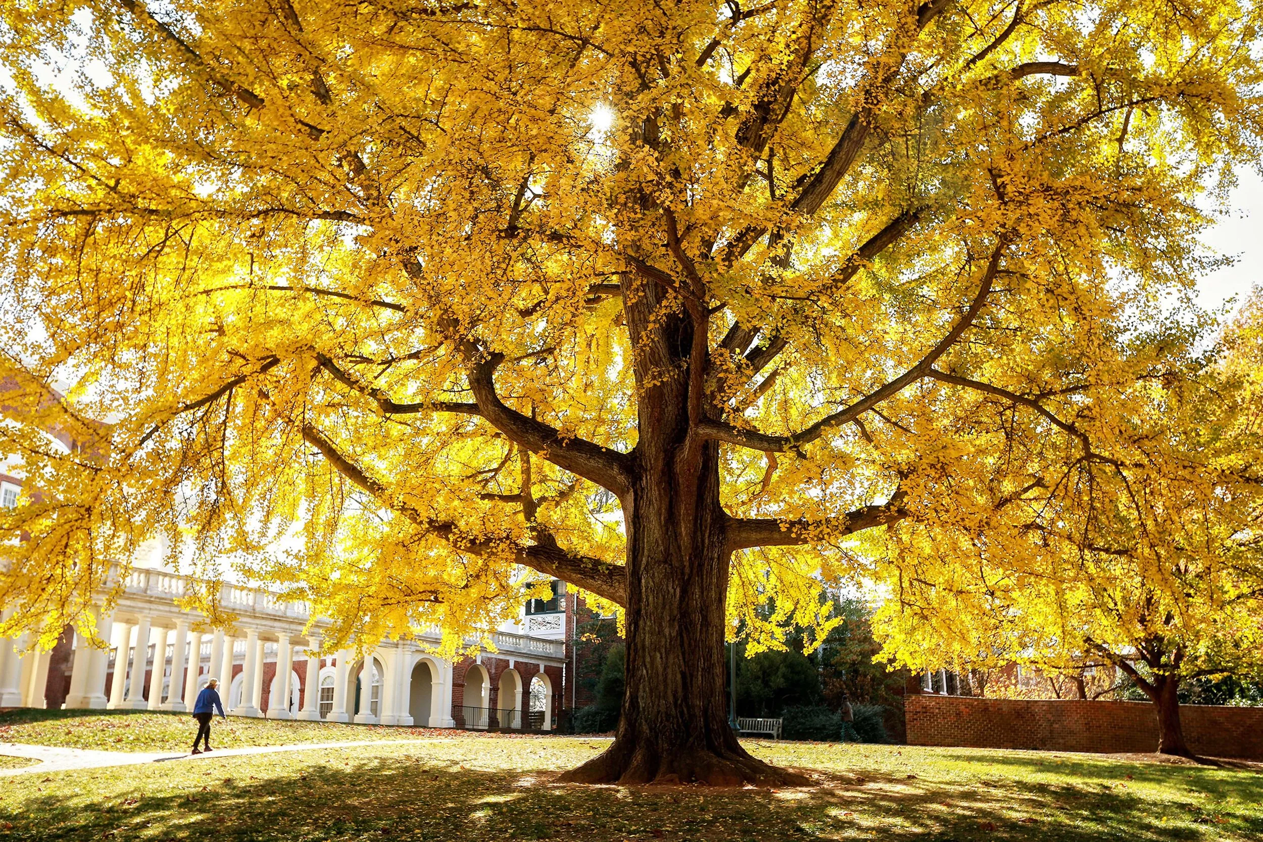 Landscape Photography in Charlottesville, VA — Melody Robbins Photography