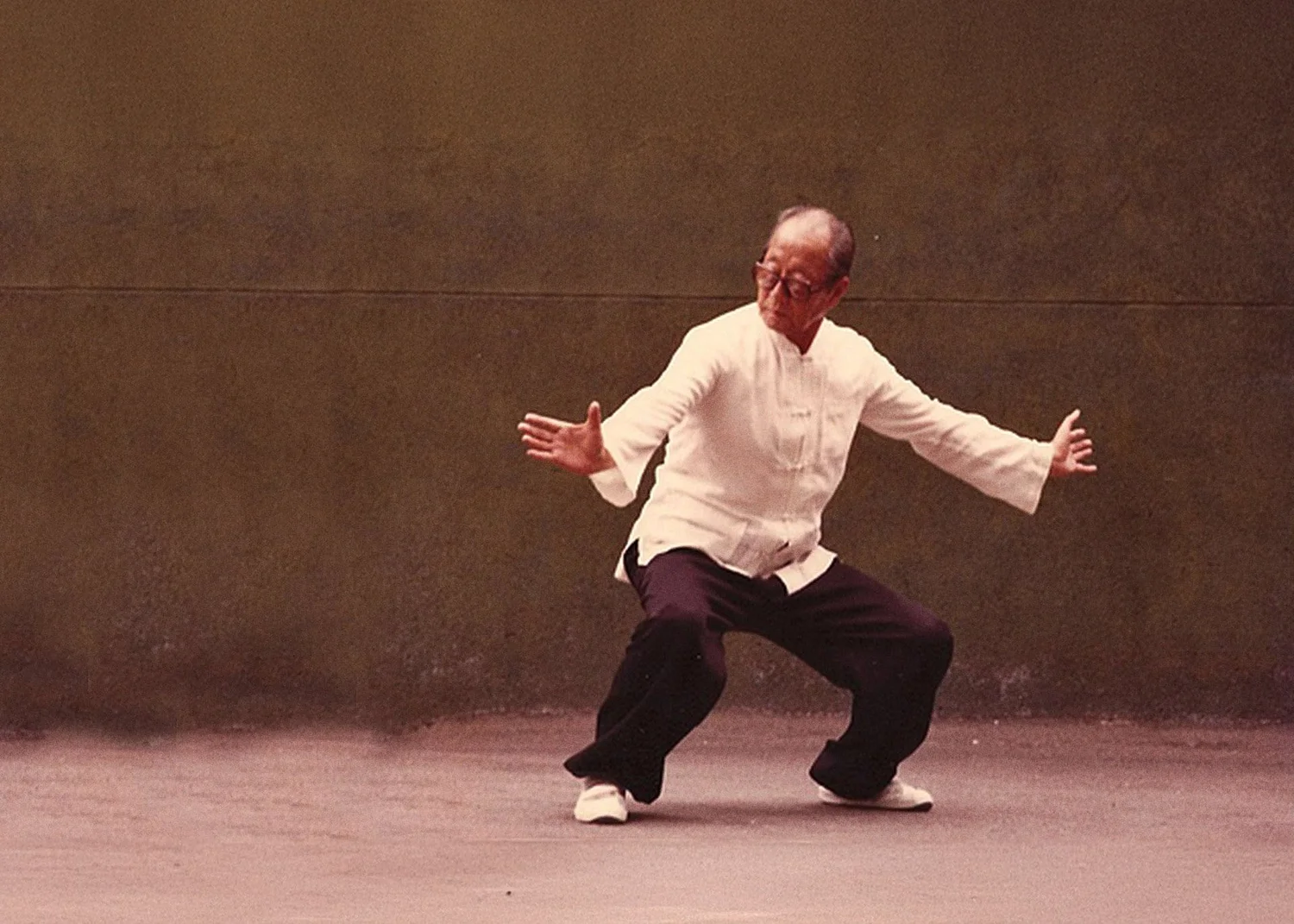 Wu Tan NYC / NJ: Bajiquan, Pigua Zhang, Bagua Zhang, Tai Chi Quan ...