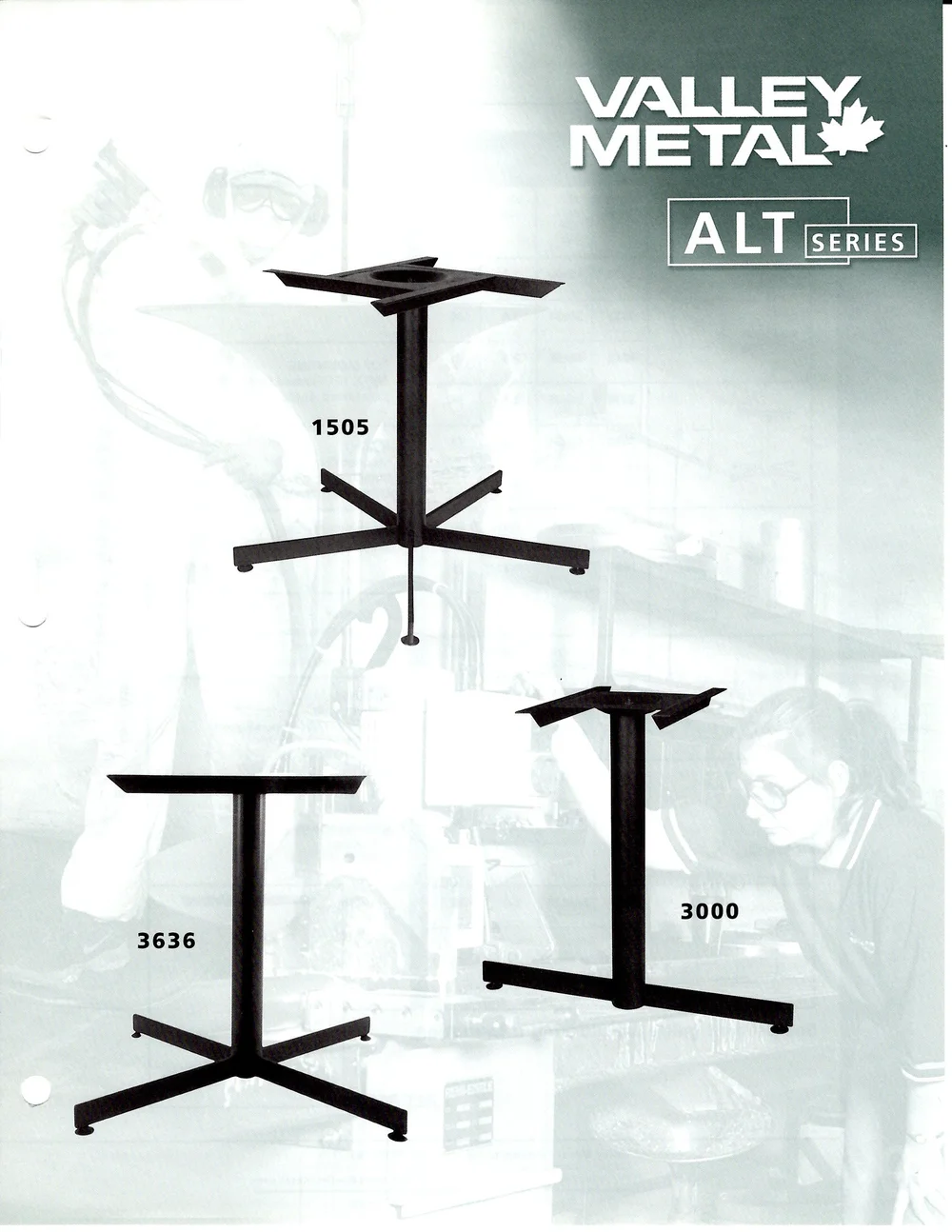 ALT series — Valley Metal Ltd.