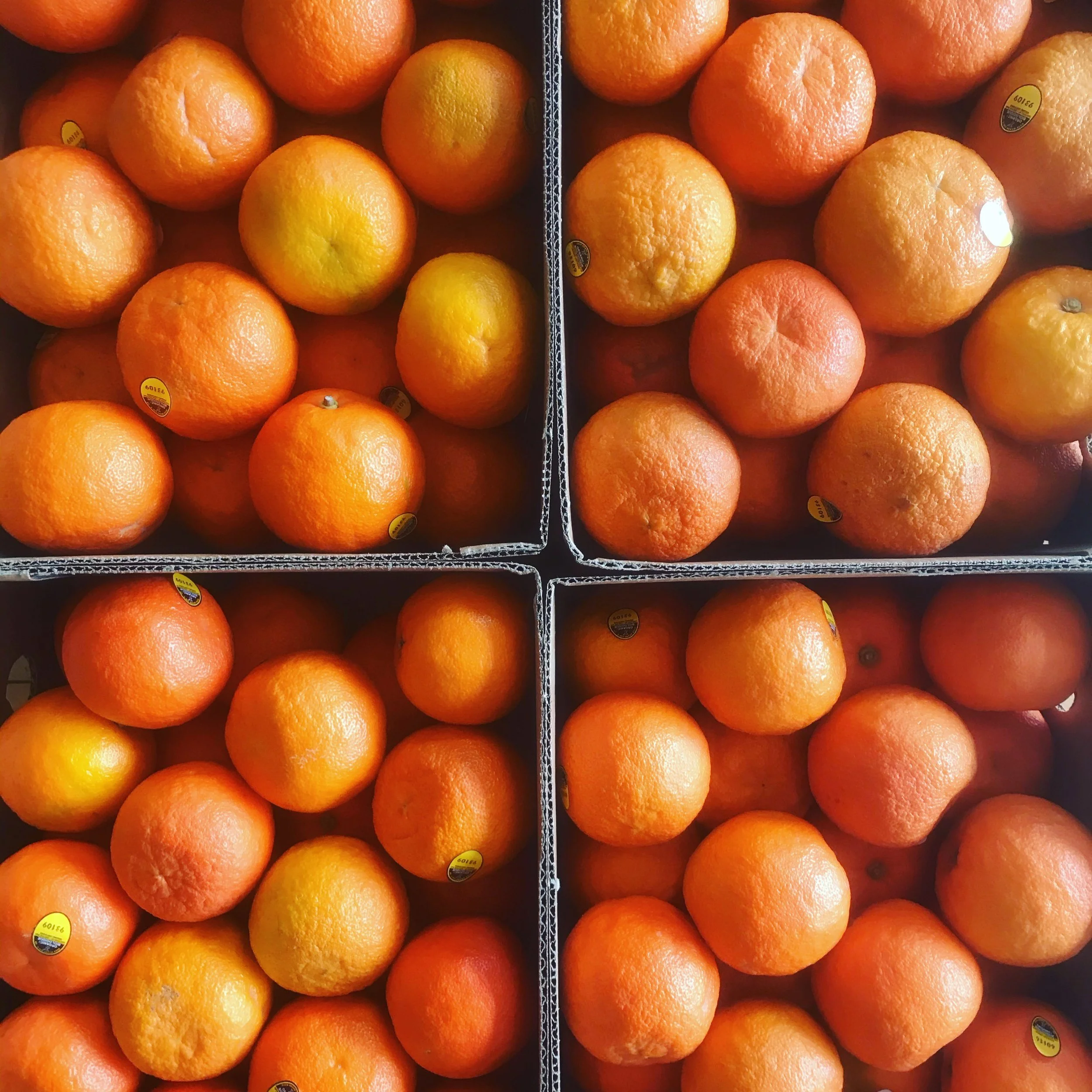 Navel Orange Mission Fig Cardamom Marmalade — V Smiley Preserves ...