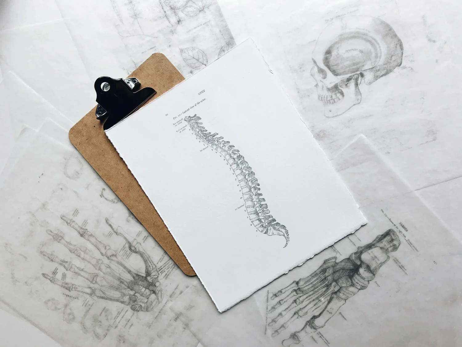 Bend Wellness Center - Network Spinal and Integrative Chiropractic