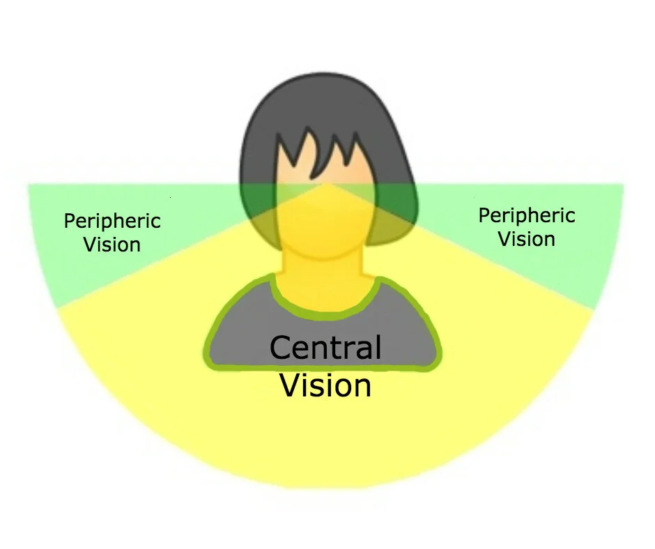 Low Vision — Biel Glasses
