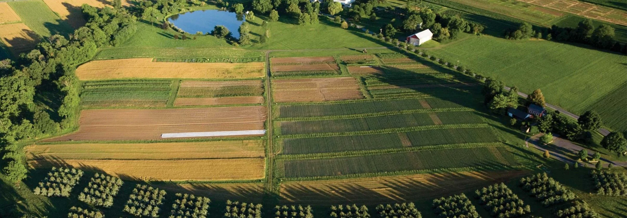 Apply — Zero Foodprint