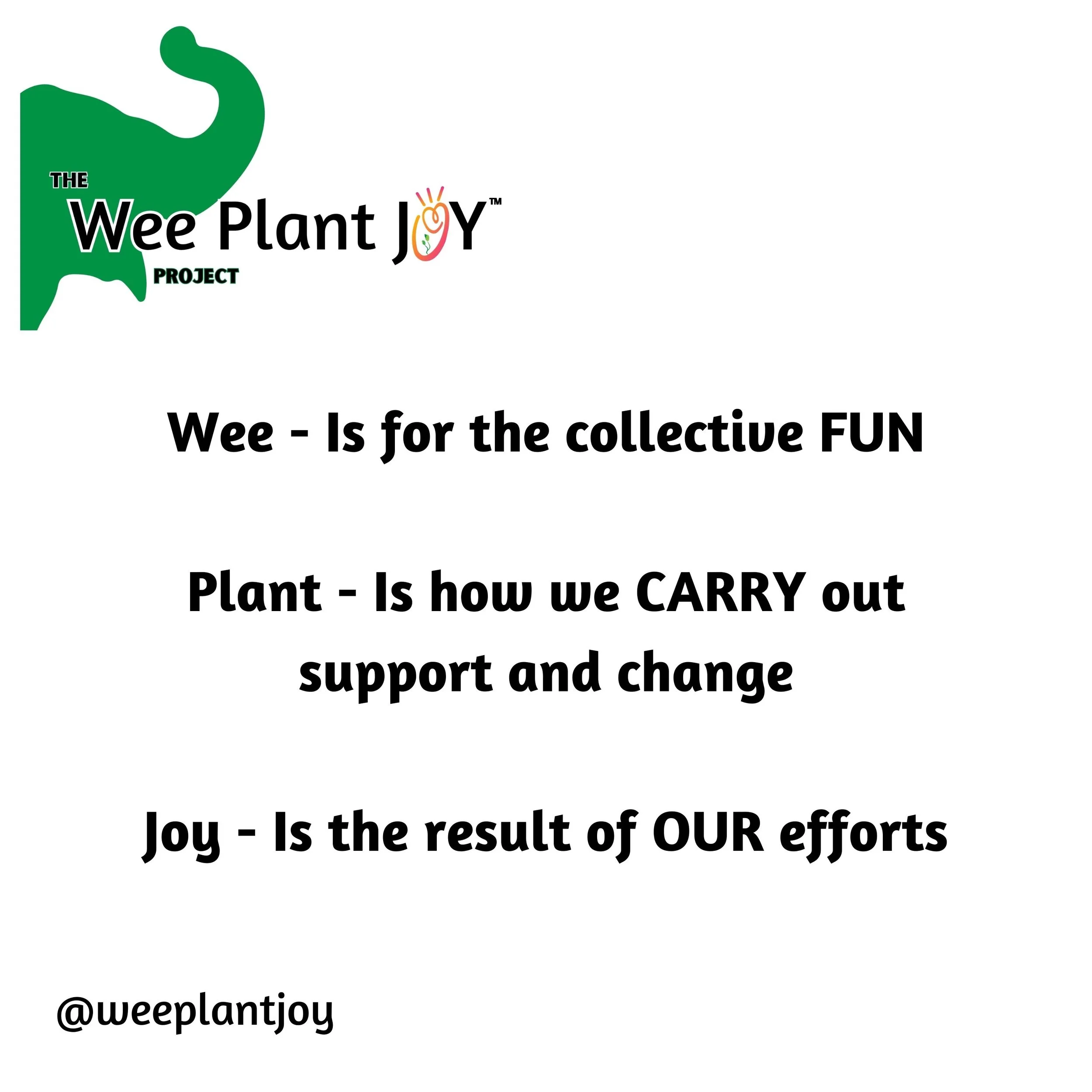 Wee Plant JOY — Soul Sprout