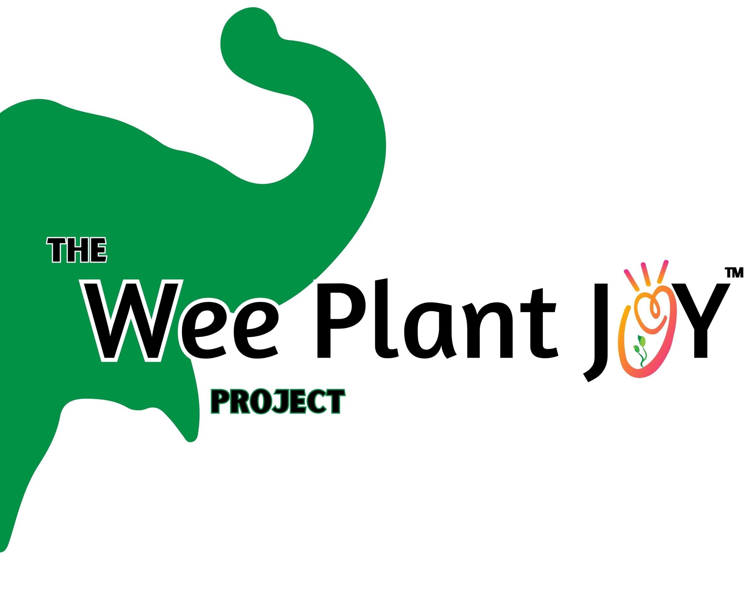 Wee Plant JOY — Soul Sprout