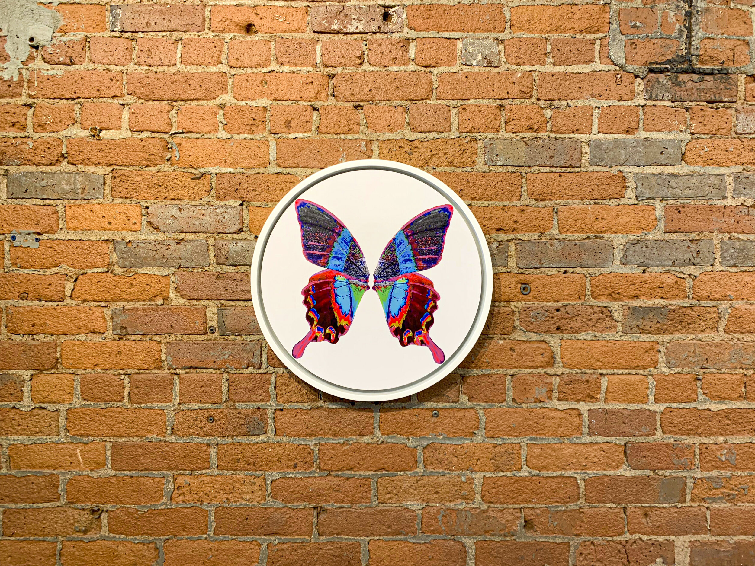 Allyson Monson — Blazing Editions