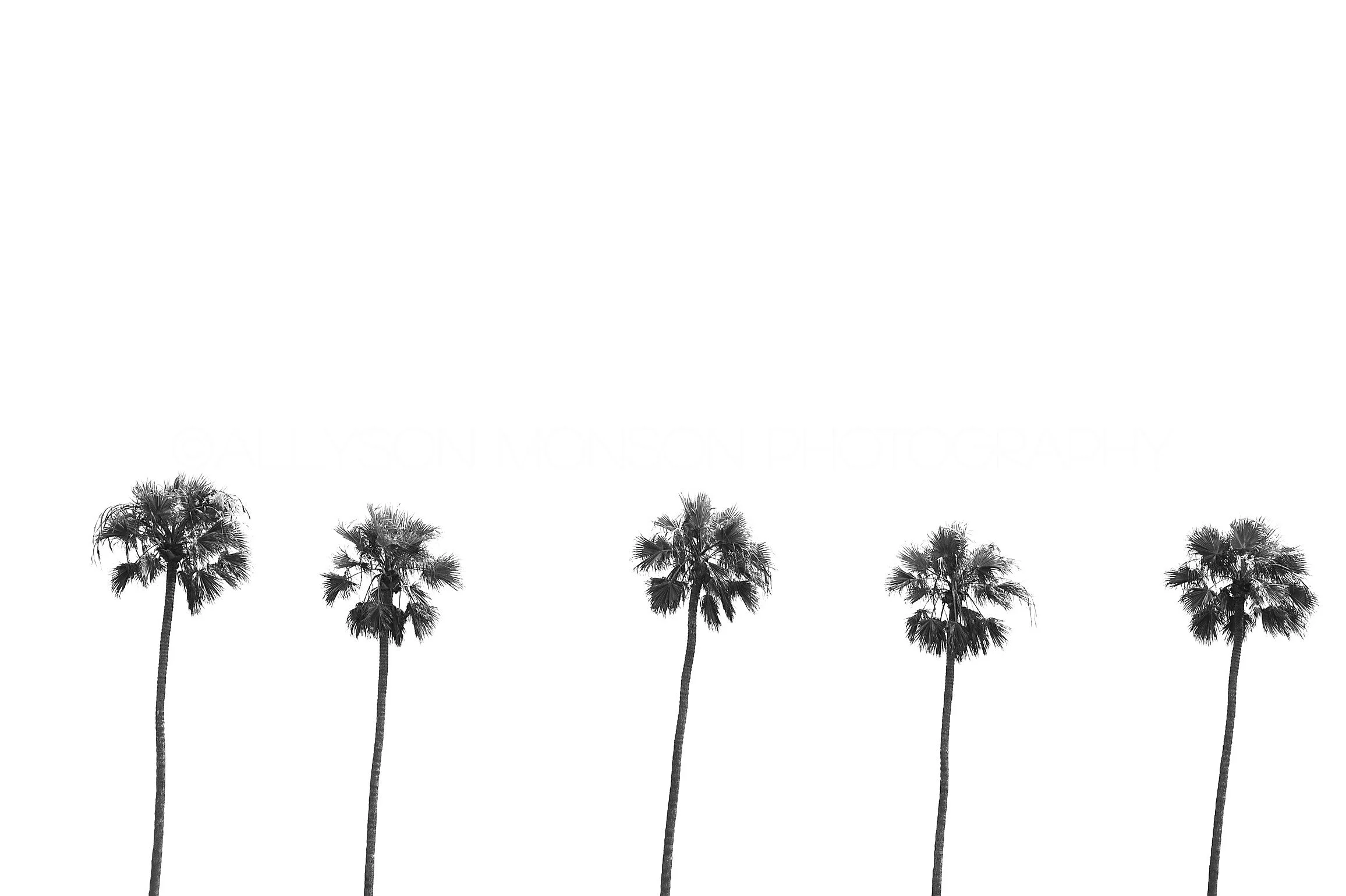 Allyson Monson — Blazing Editions