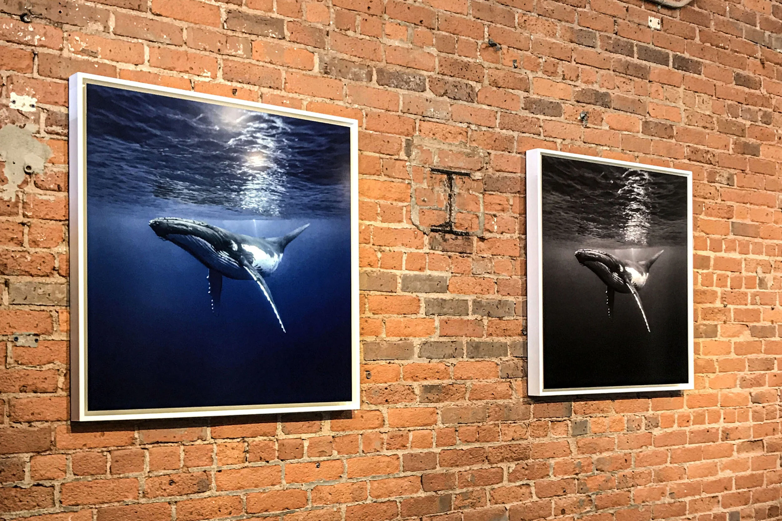 Float Frame — Blazing Editions