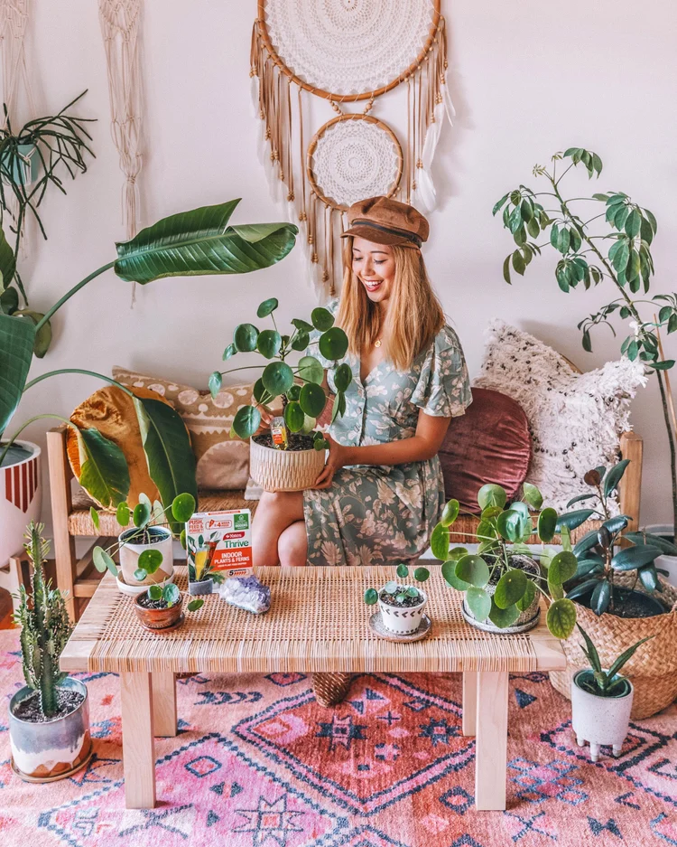 Indoor plant food care with Yates — CONNIE CAO