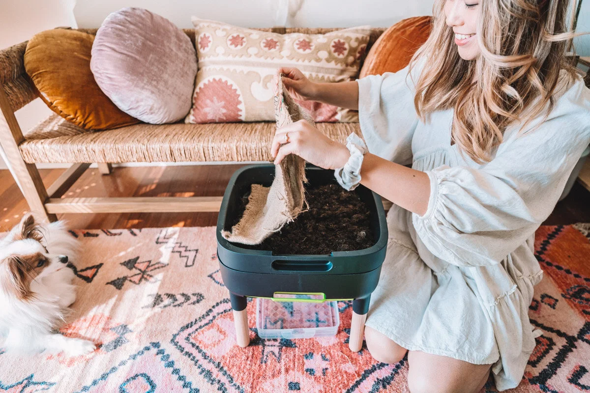 Maze Worm Farm & Vermicomposting — CONNIE CAO