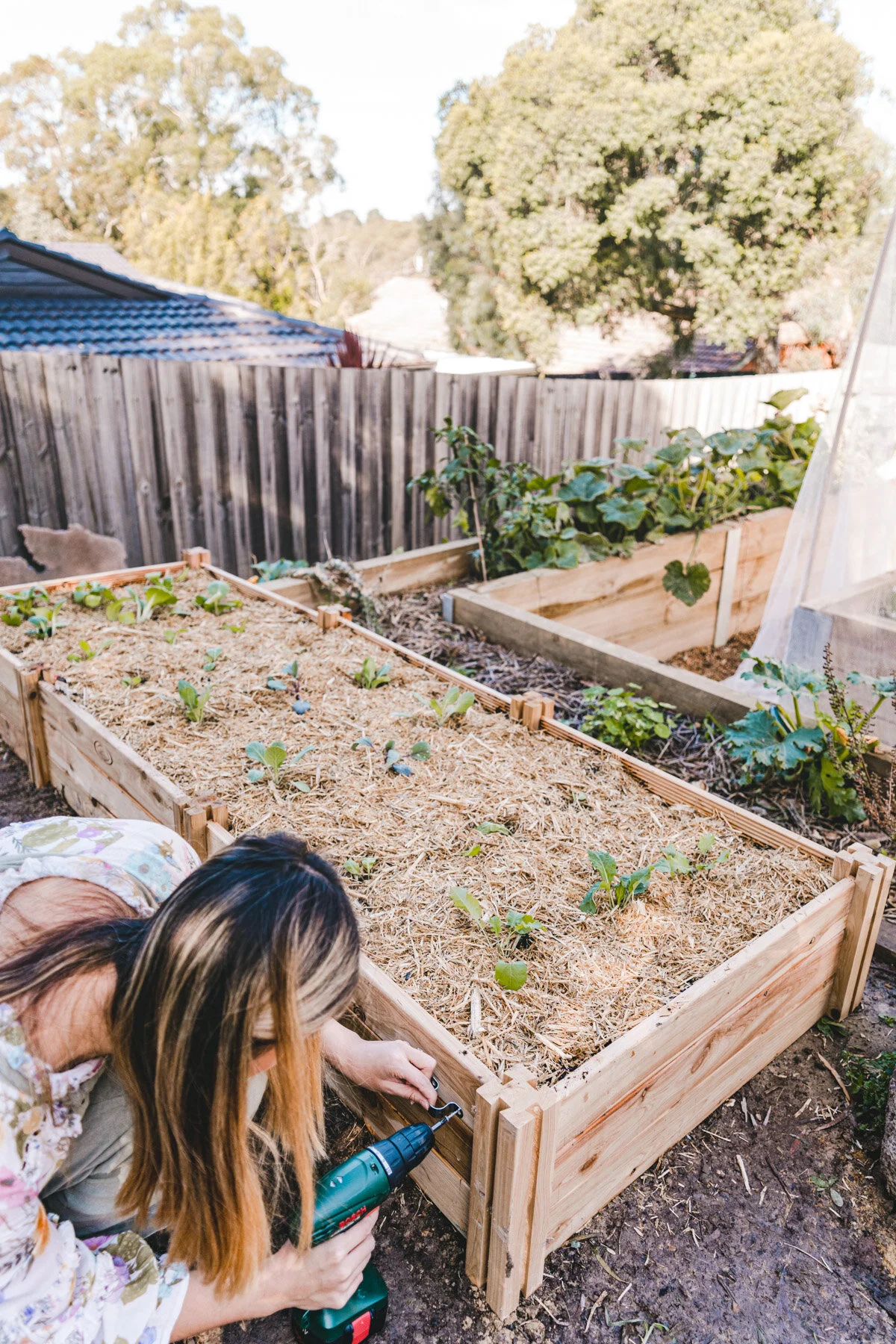 How to build an easy DIY Netting Structure for Your Raised Veggie Bed ...