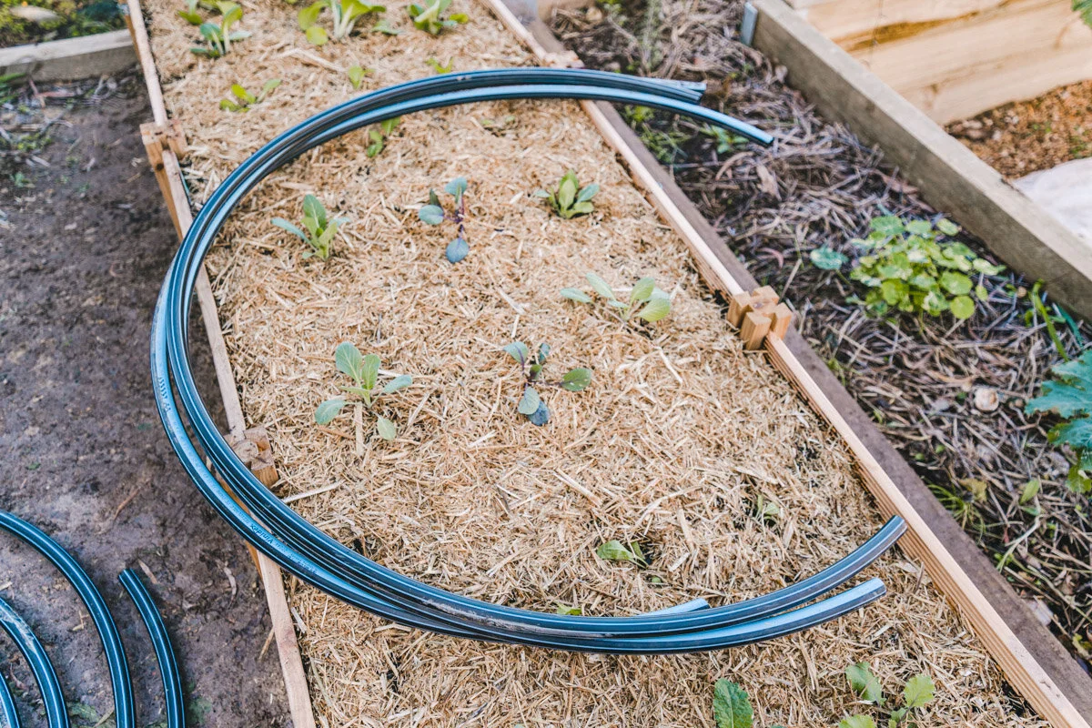 How to build an easy DIY Netting Structure for Your Raised Veggie Bed ...