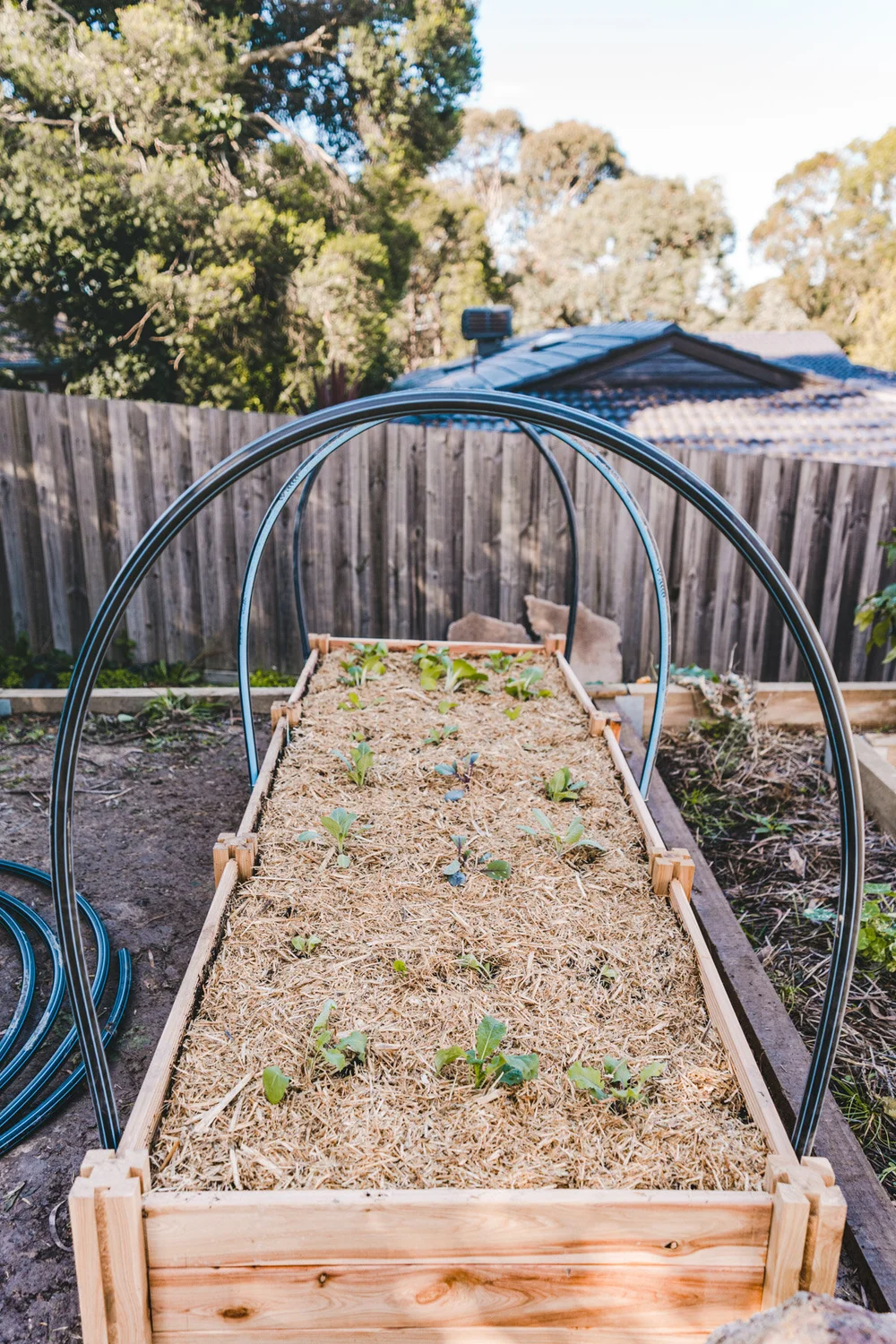 How to build an easy DIY Netting Structure for Your Raised Veggie Bed ...