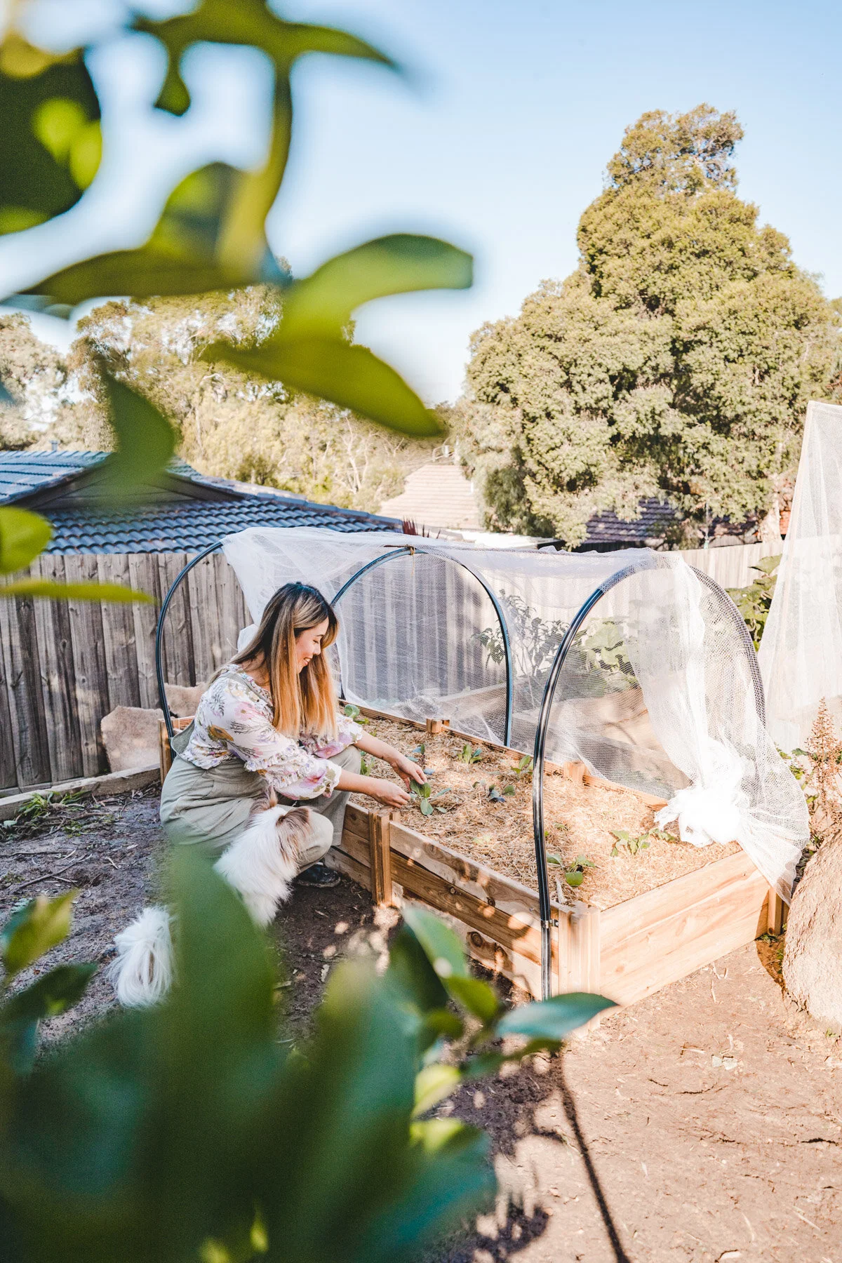 How to build an easy DIY Netting Structure for Your Raised Veggie Bed ...