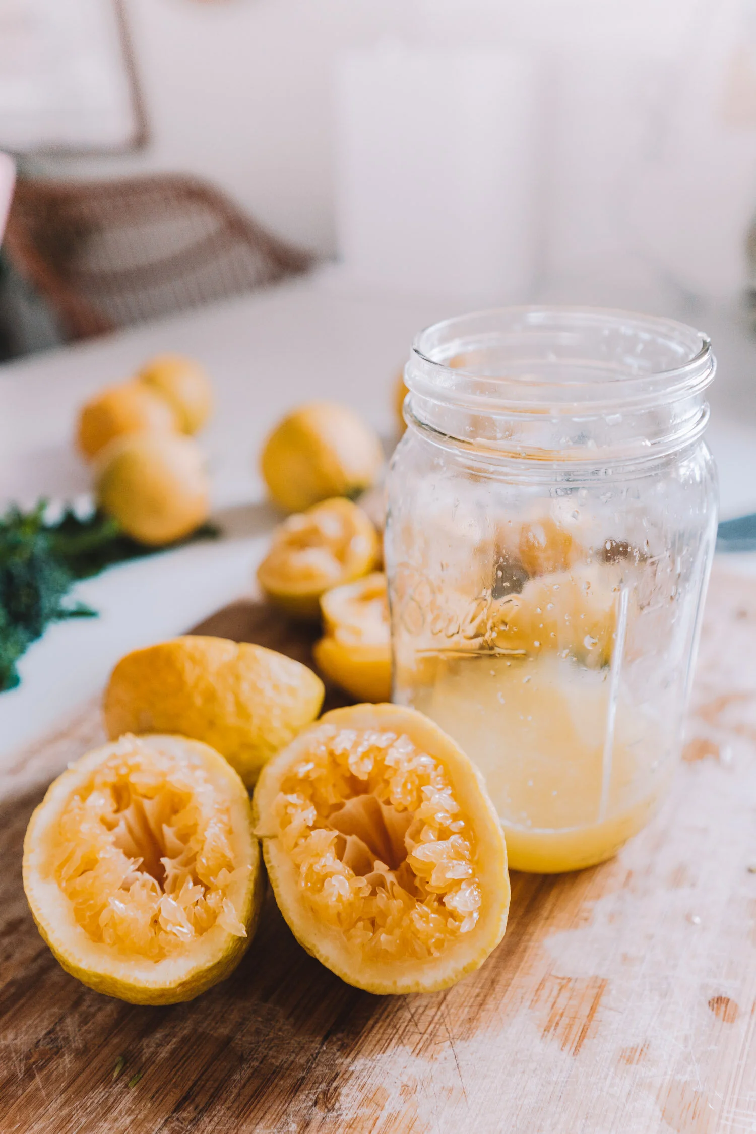 What to do with Lots of Lemons — CONNIE CAO