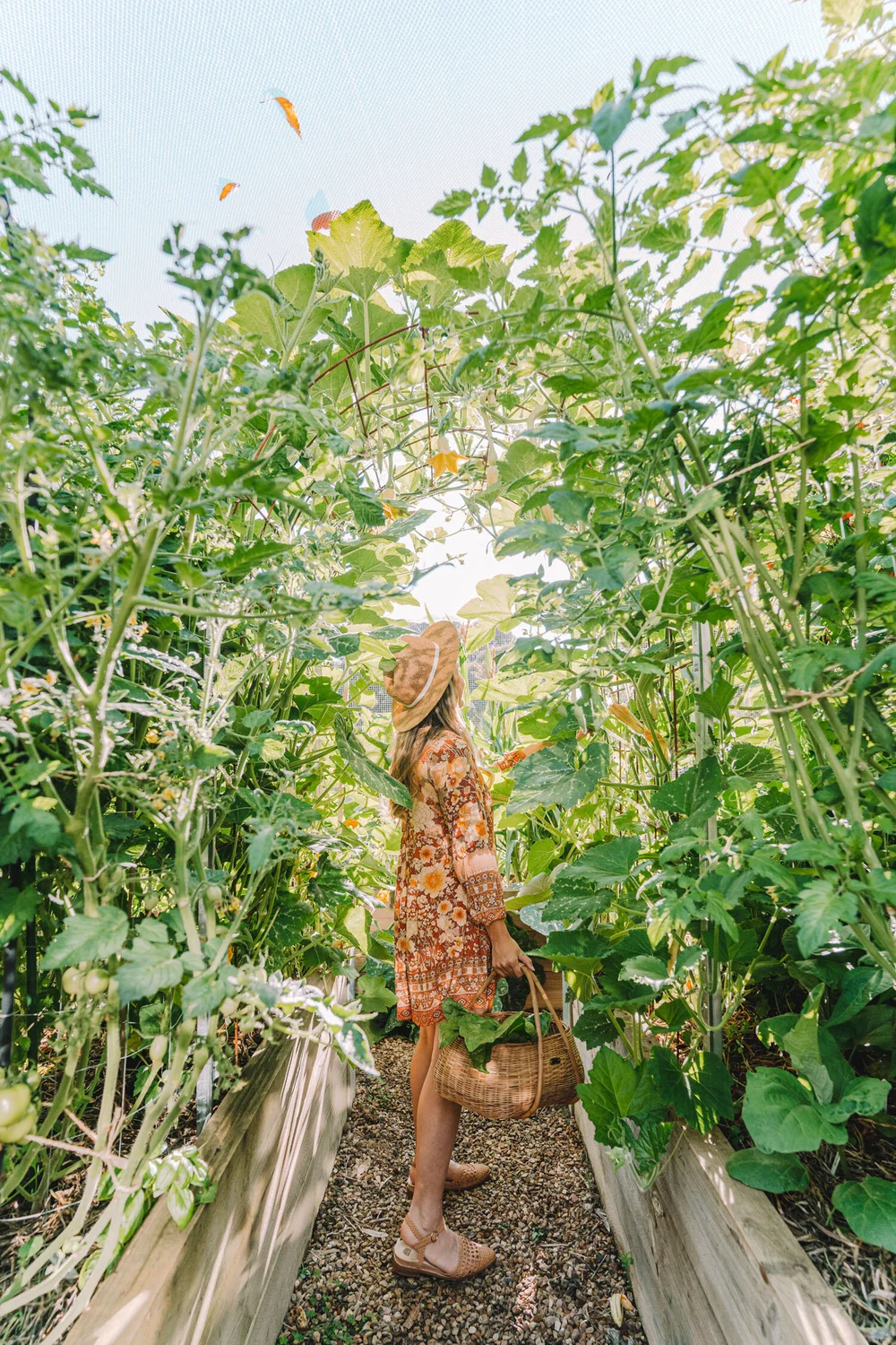 DIY Veggie Garden Arch - How to Make a Garden Arch Using Reo Mesh ...
