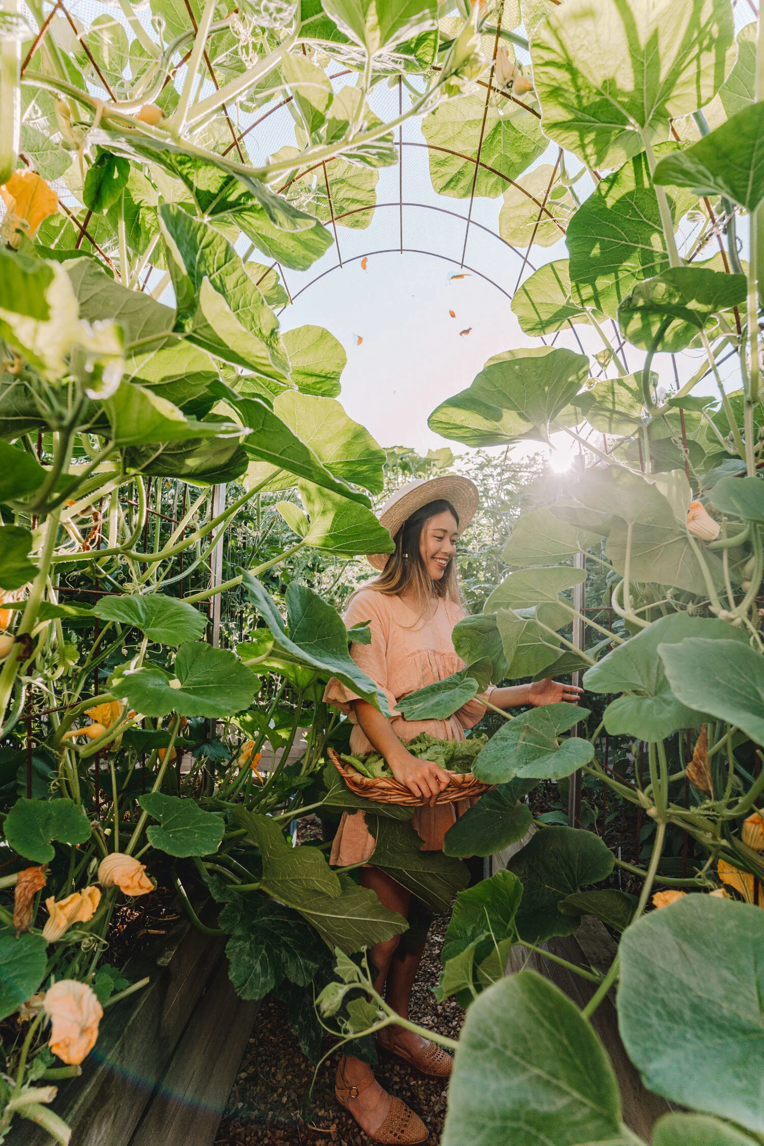 DIY Veggie Garden Arch - How to Make a Garden Arch Using Reo Mesh ...