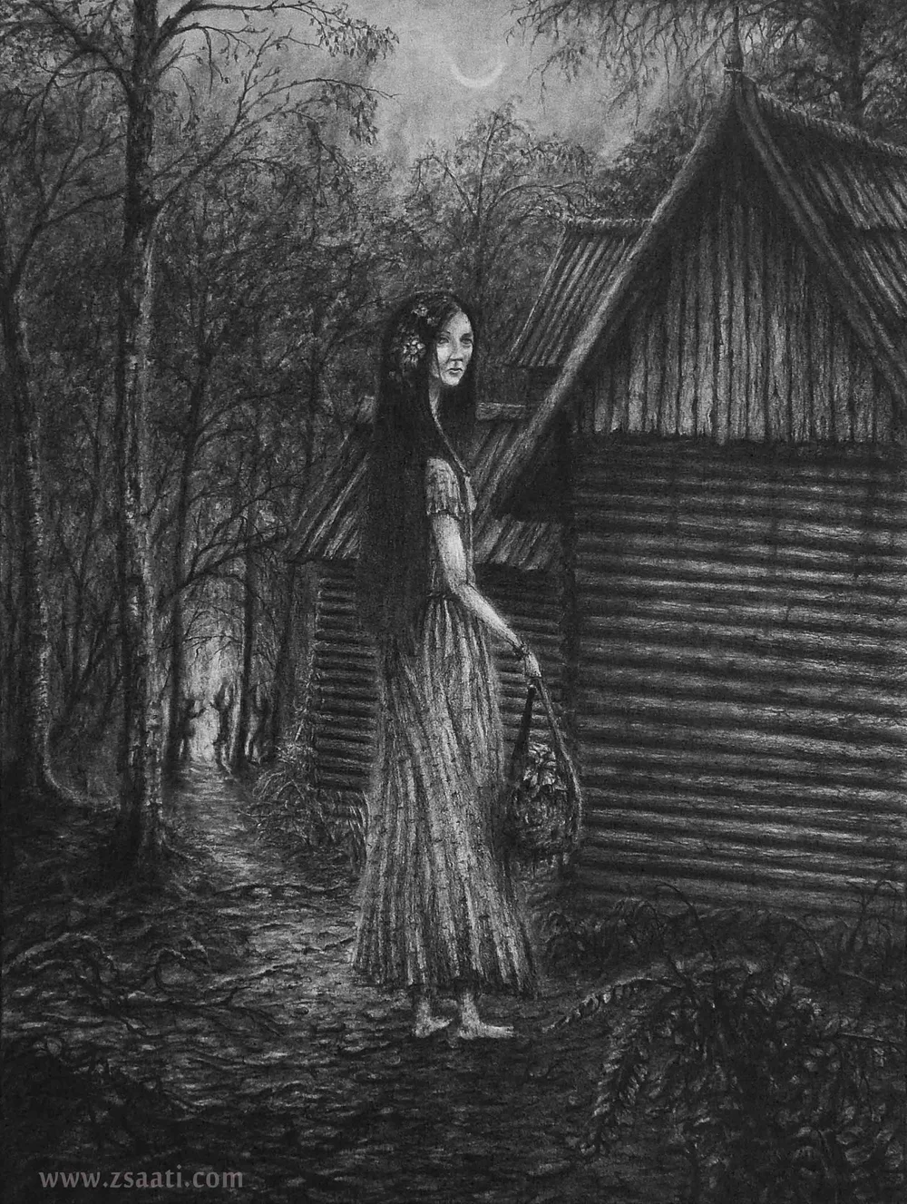 Graphite Pencil Drawings